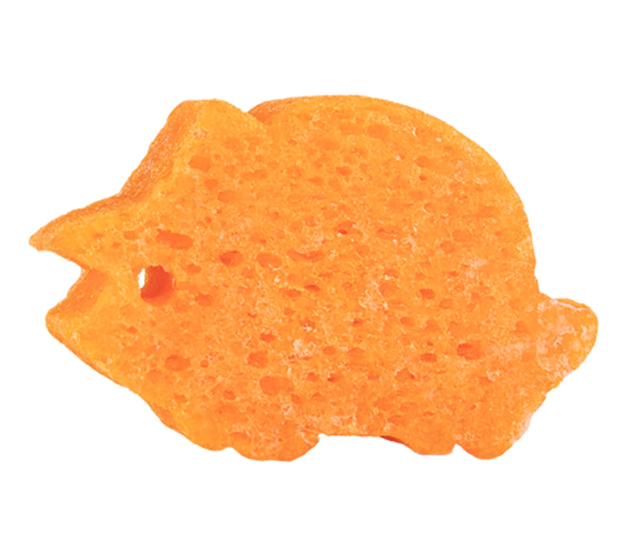 Spongelle Dinosaur Infused Body Buffer Sponge - QVC.com