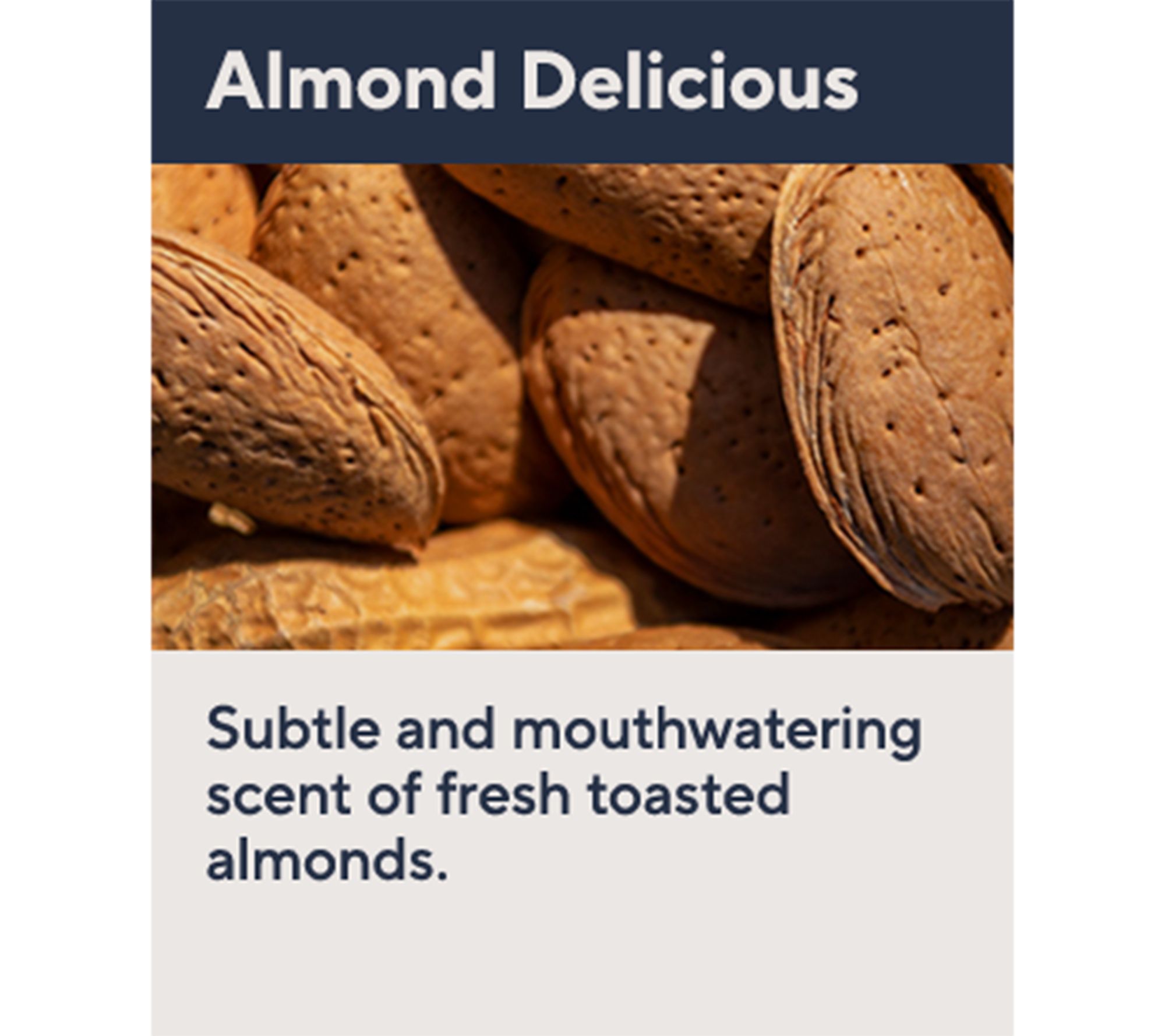 L'Occitane Jumbo Moisturizing Hand Cream Duo - QVC.com