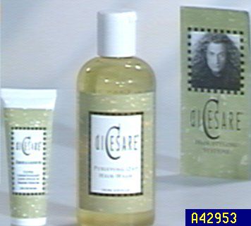 Michael diCesare Brilliance Anti-Frizz Set - QVC.com