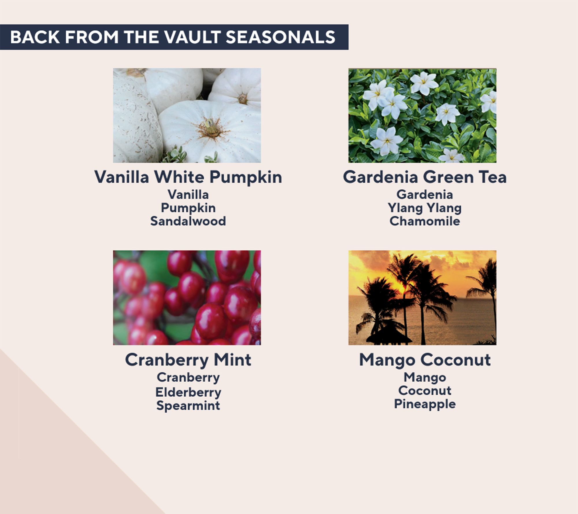 WEN by Chaz Dean 16oz Cleansing Conditioner 4-Piece Set - QVC.com