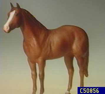 Offspring of "Go Man Go" Quarter Horse by Breyer - QVC.com