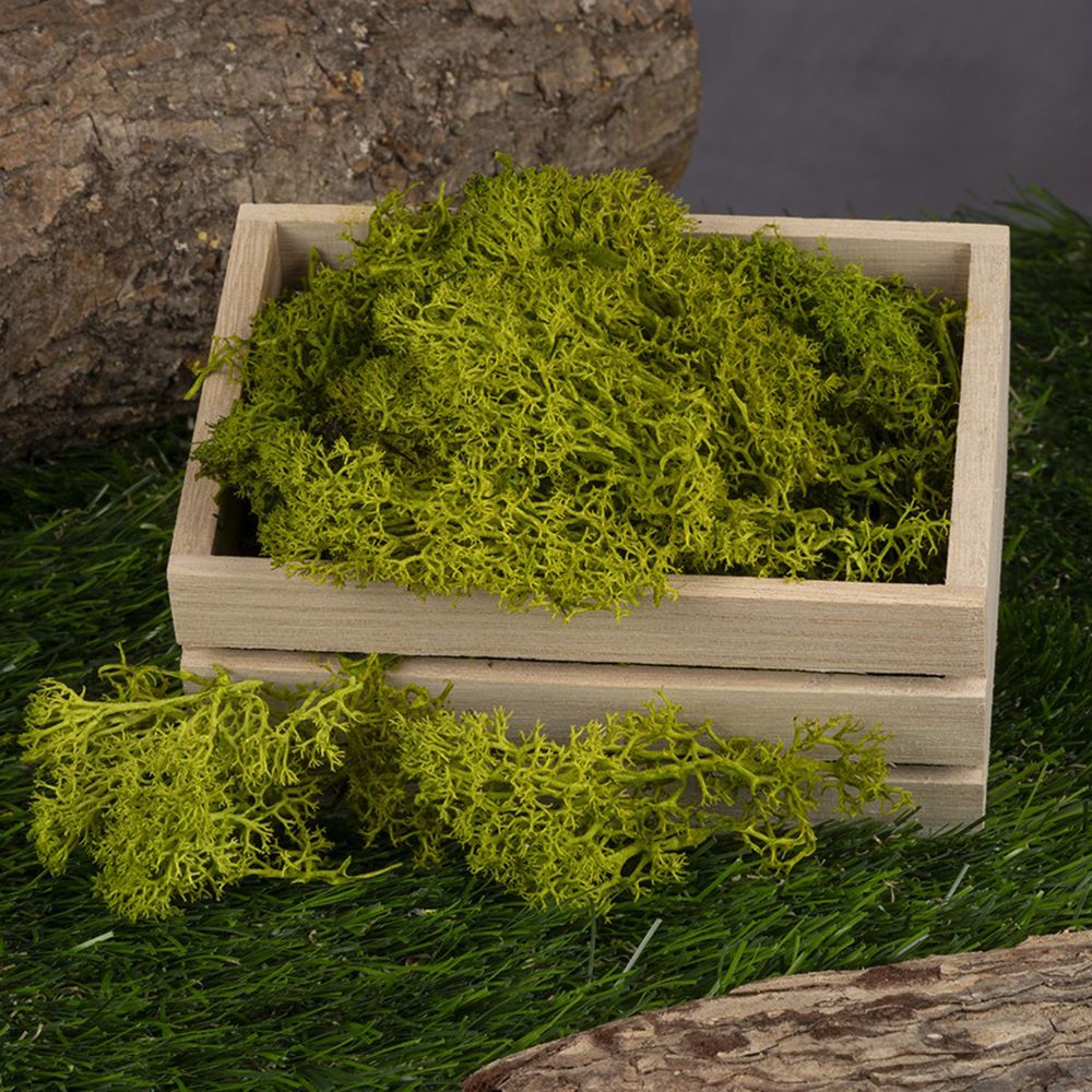 KARIN JITTENMEIER Kreativ-Set Eier zum befüllen & Islandmoos 7tlg. - QVC.de