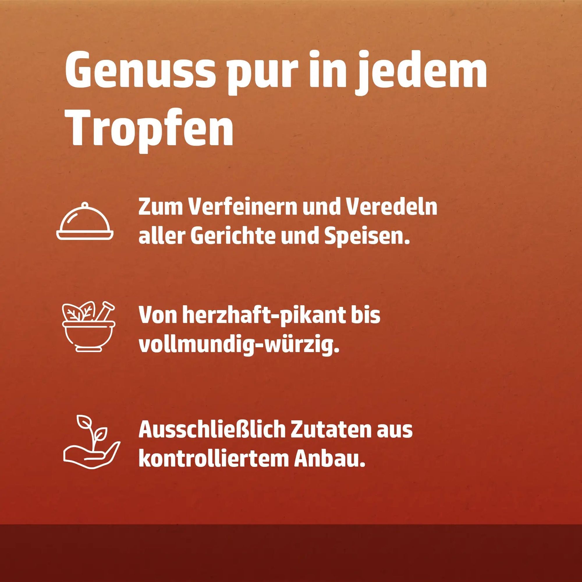 HENSSLERS Würzöl Set 6 Dosen à 0,25l 6 versch. Sorten Inhalt 1.500ml ...