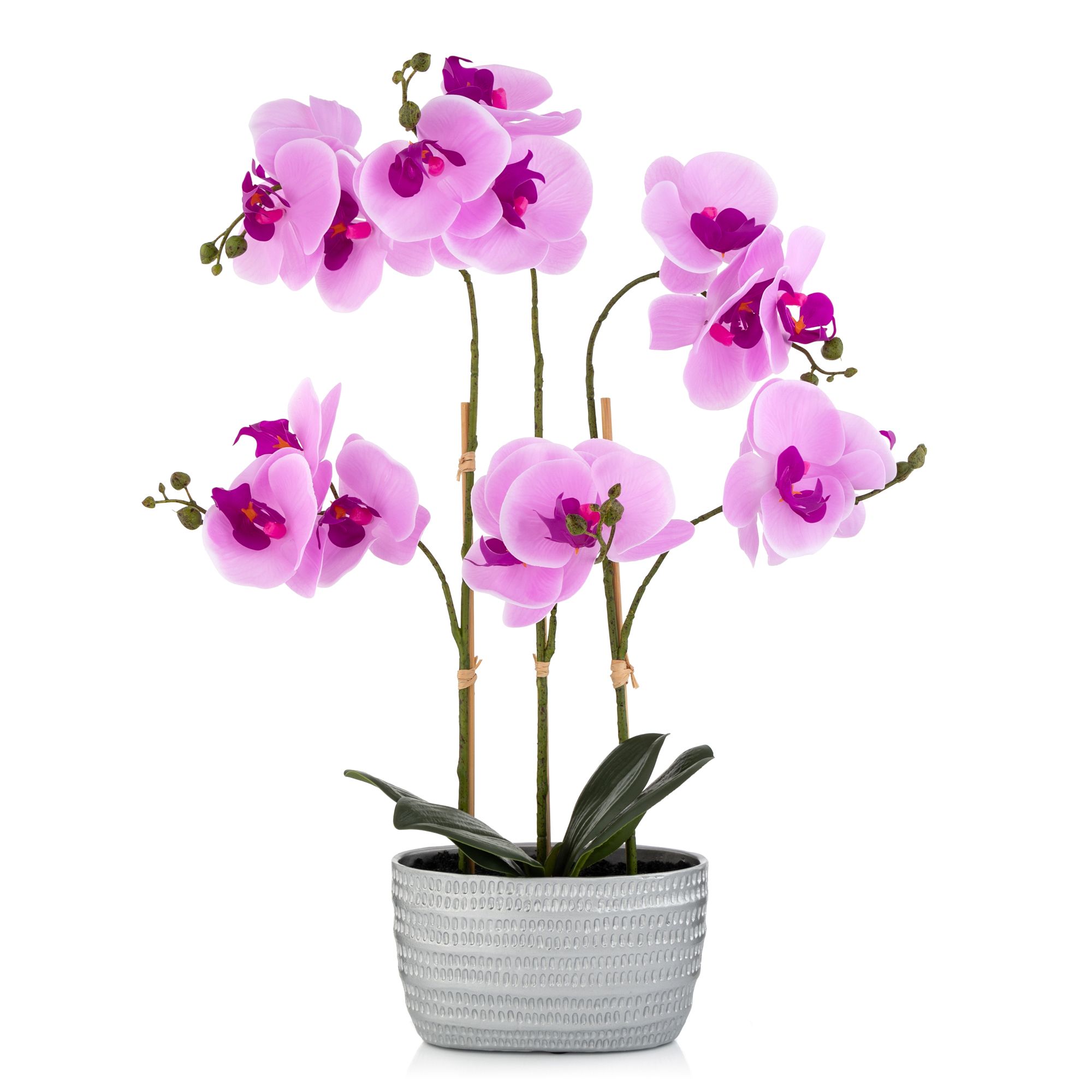 B-Ware ABELLA Flora künstliche Orchidee Realtouch-Effekt Polyresin-Topf ...