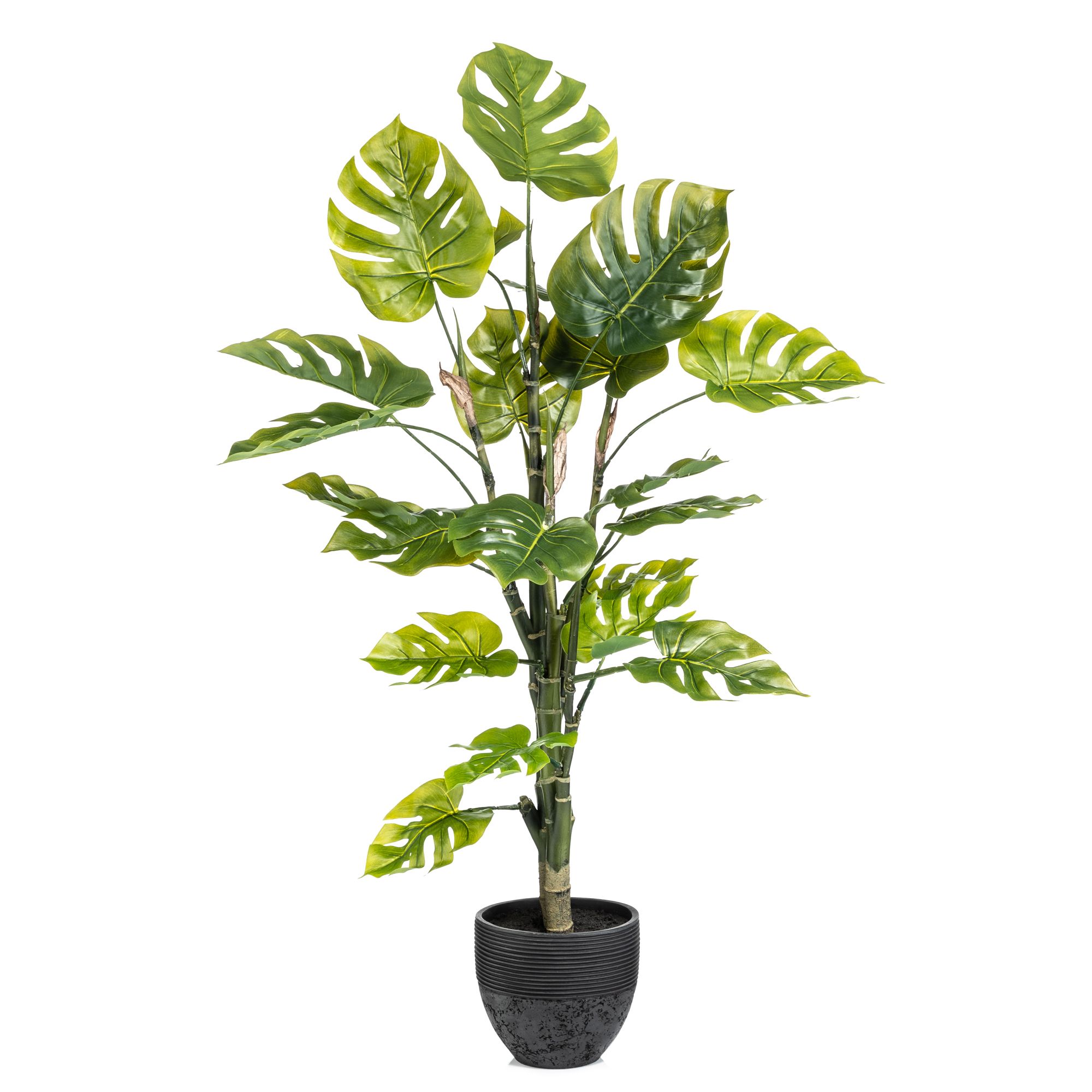 B-Ware STEFFEN SCHRAUT künstliche Monstera Polyresin-Topf Höhe 100cm ...