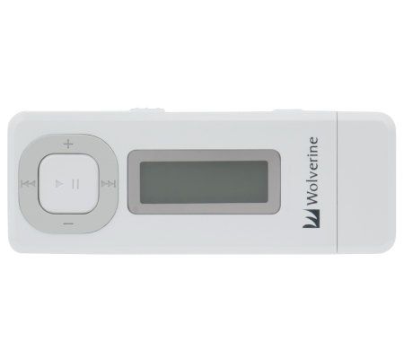 Wolverine 256MB USB Flash Drive MP3 Player and 16hr Digital Voice ...