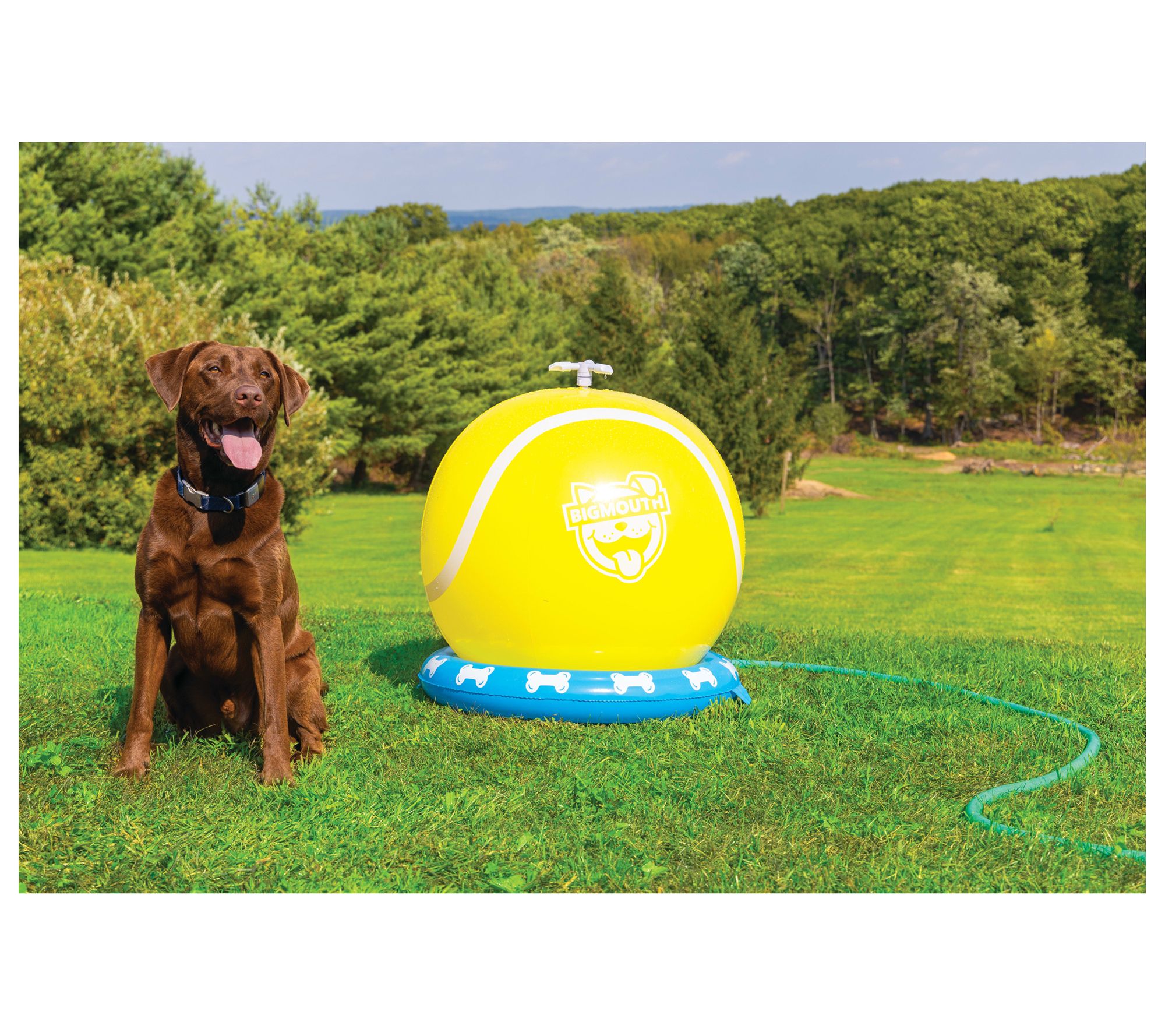 BigMouth Inflatable Tennis Ball Sprinkler - QVC.com