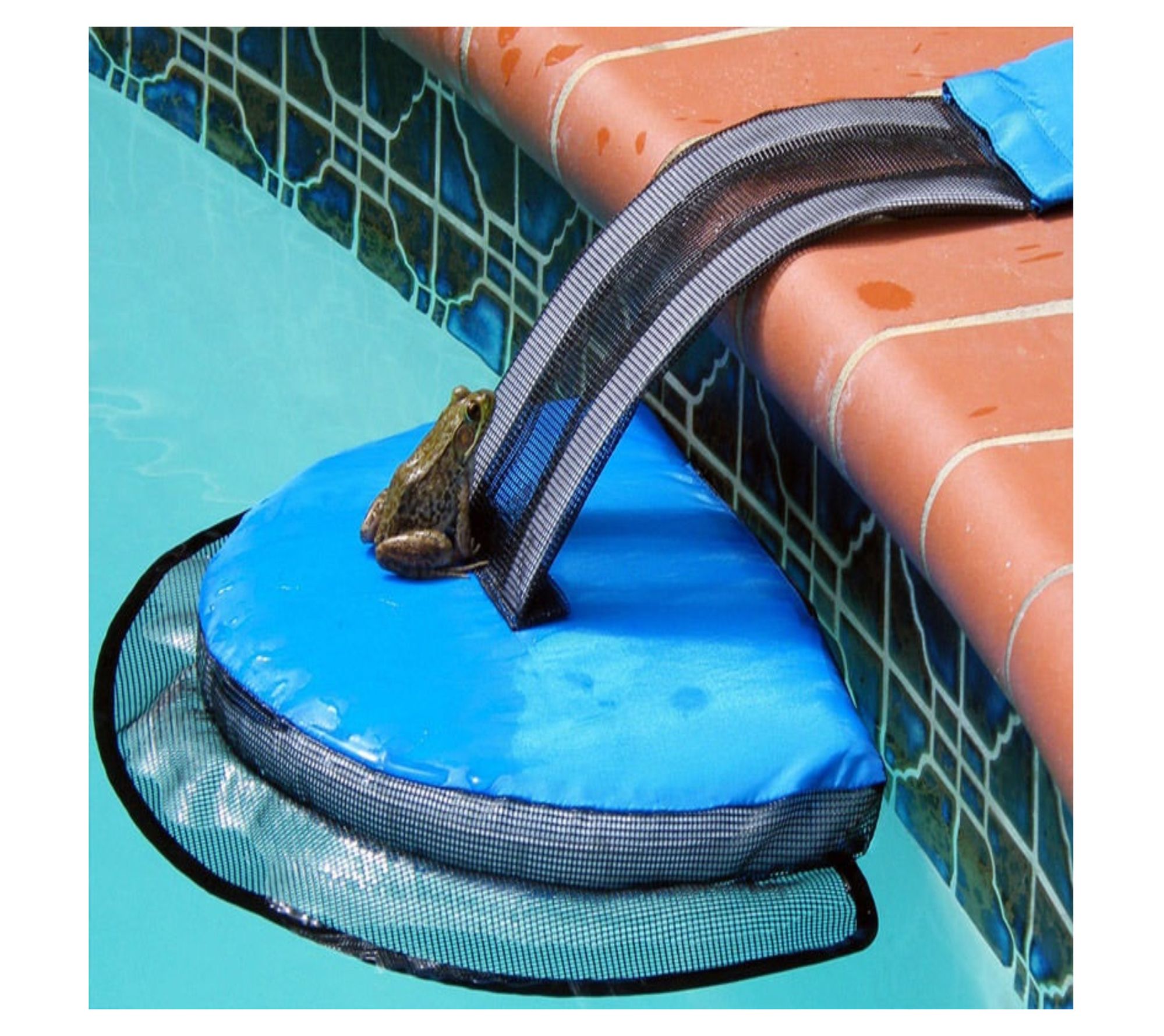 Swim Central 25.5" Swimming Pool Critter SavingEscape Ramp - QVC.com