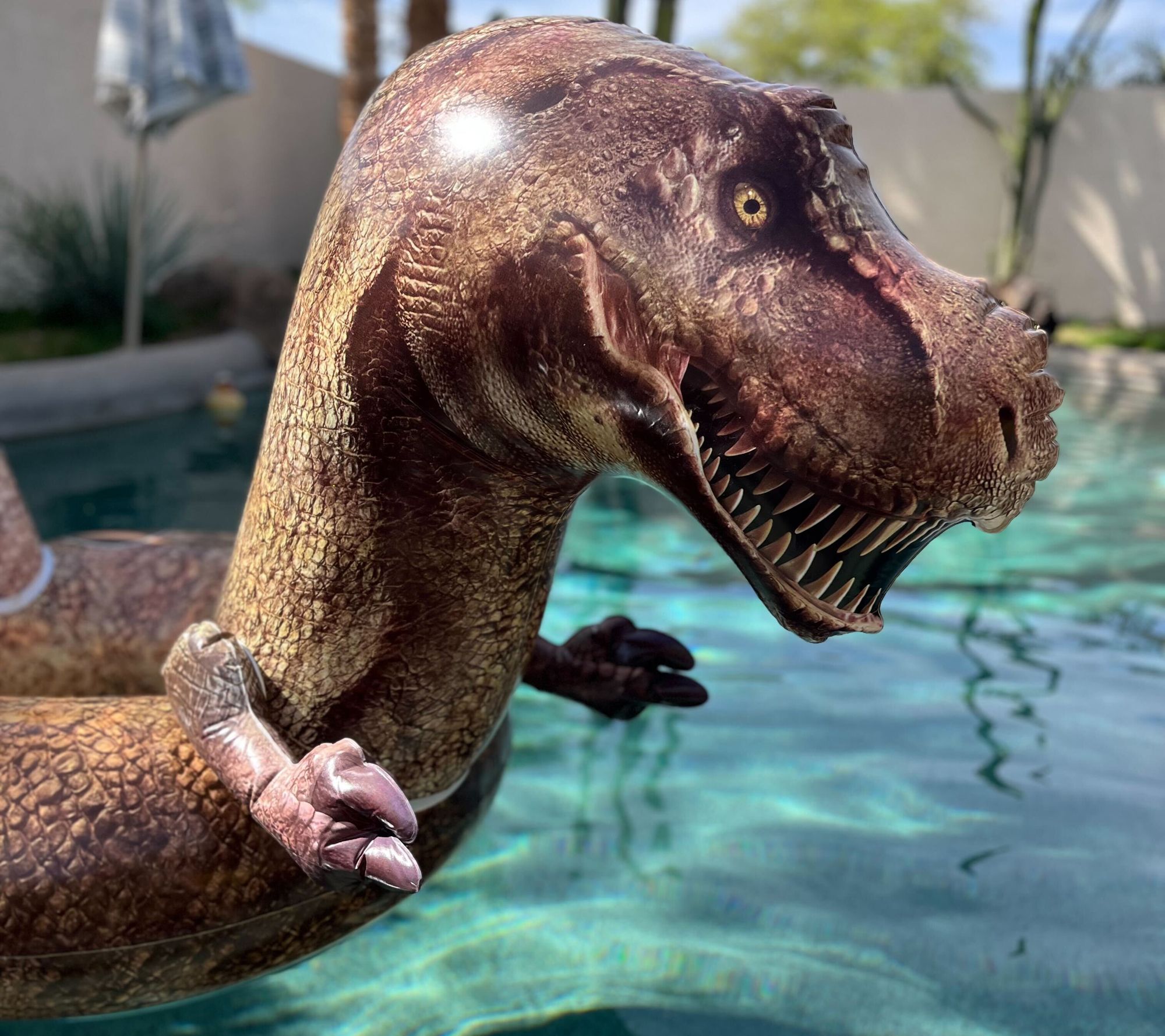 CocoNut Outdoor T-Rex Pool Float - QVC.com