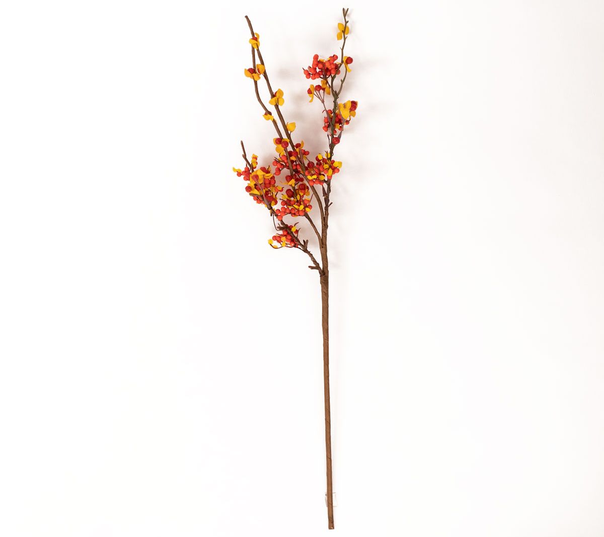 Melrose Bittersweet Berry and Twig Branch (Setf 6) - QVC.com