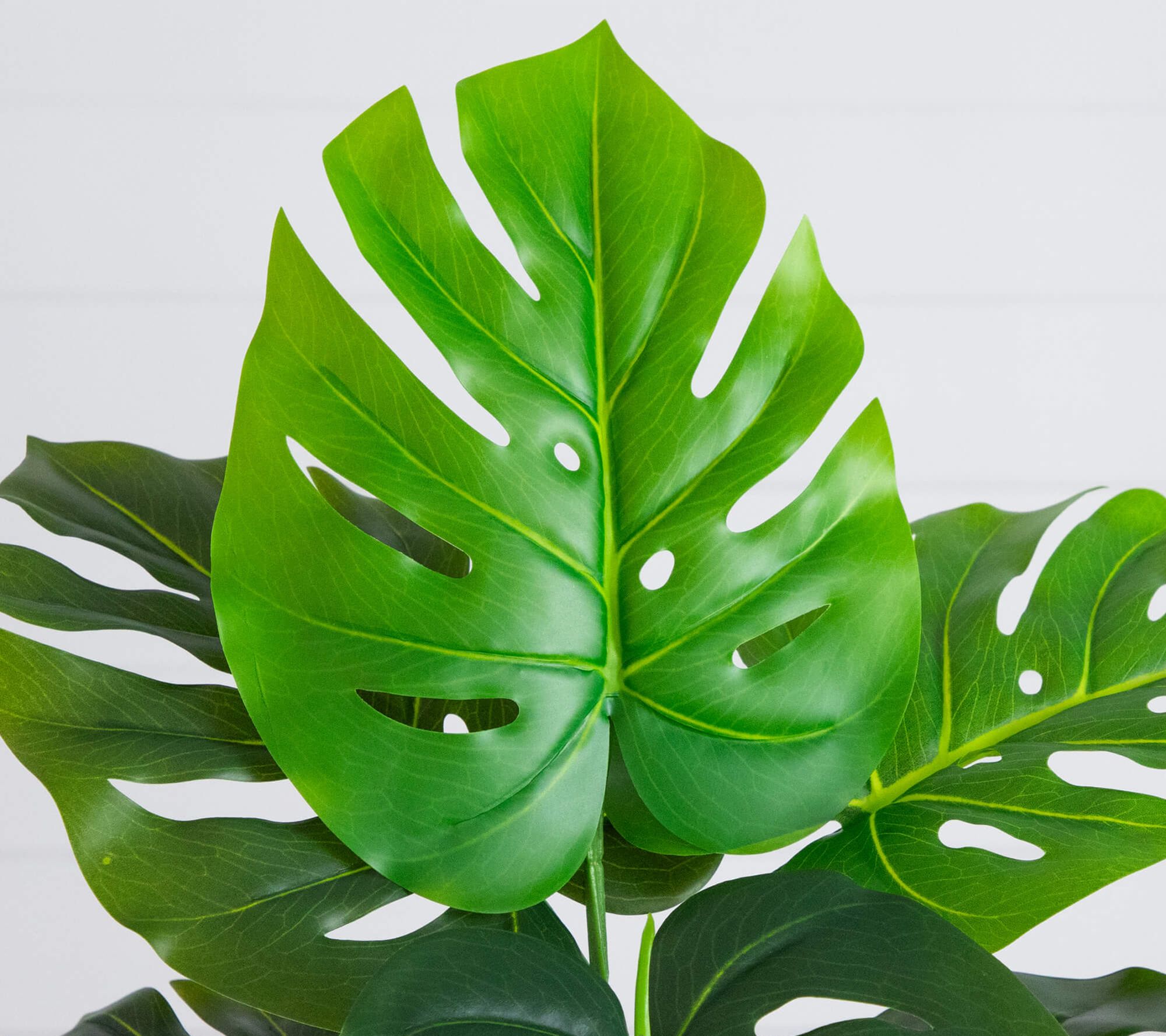 Nearly Natural 20" Artificial Swiss Monstera Plant - QVC.com