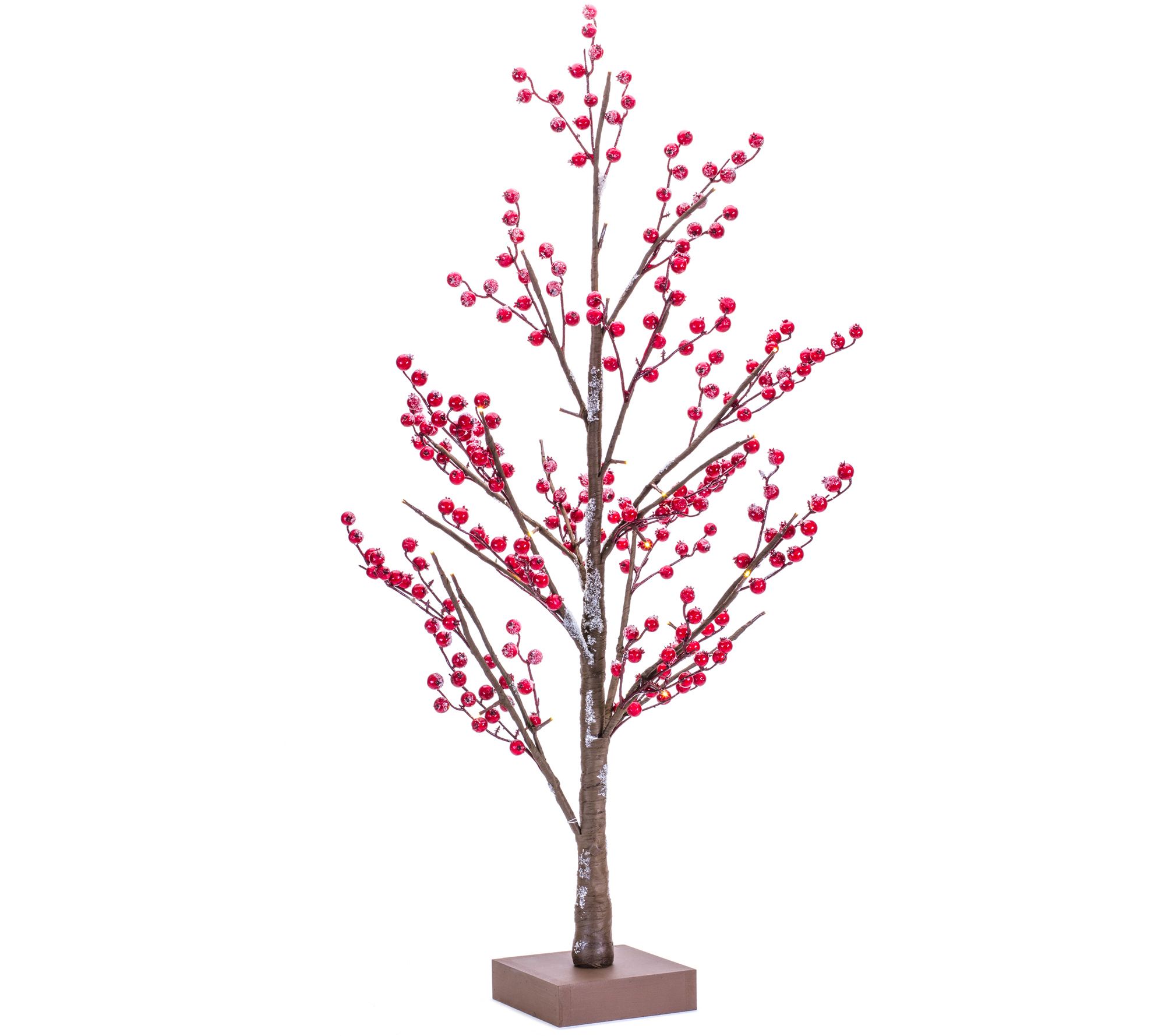 Melrose LED Lighted Frosted Berry Twig Tree with Base 38"H - QVC.com
