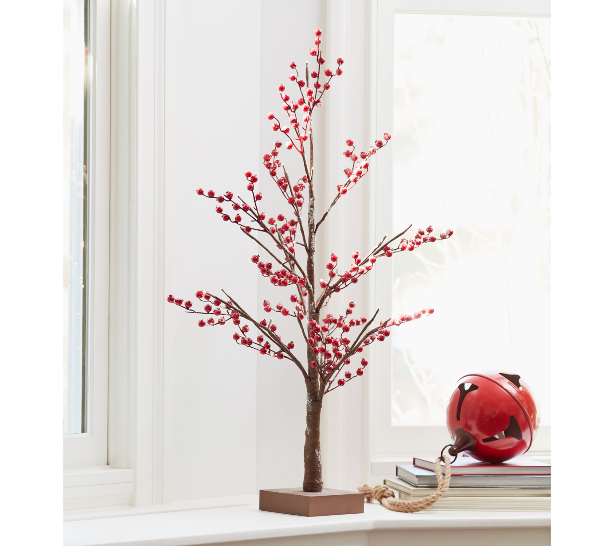 Melrose LED Lighted Frosted Berry Twig Tree with Base 38"H - QVC.com