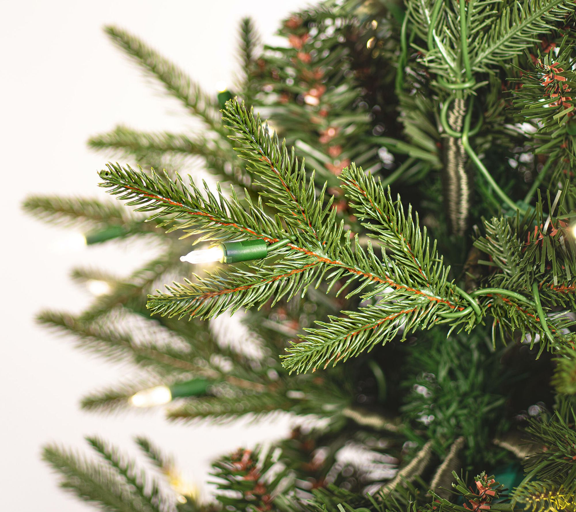 Vickerman 10' x 44" Bixley Pencil Tree DuraLit800WW - QVC.com