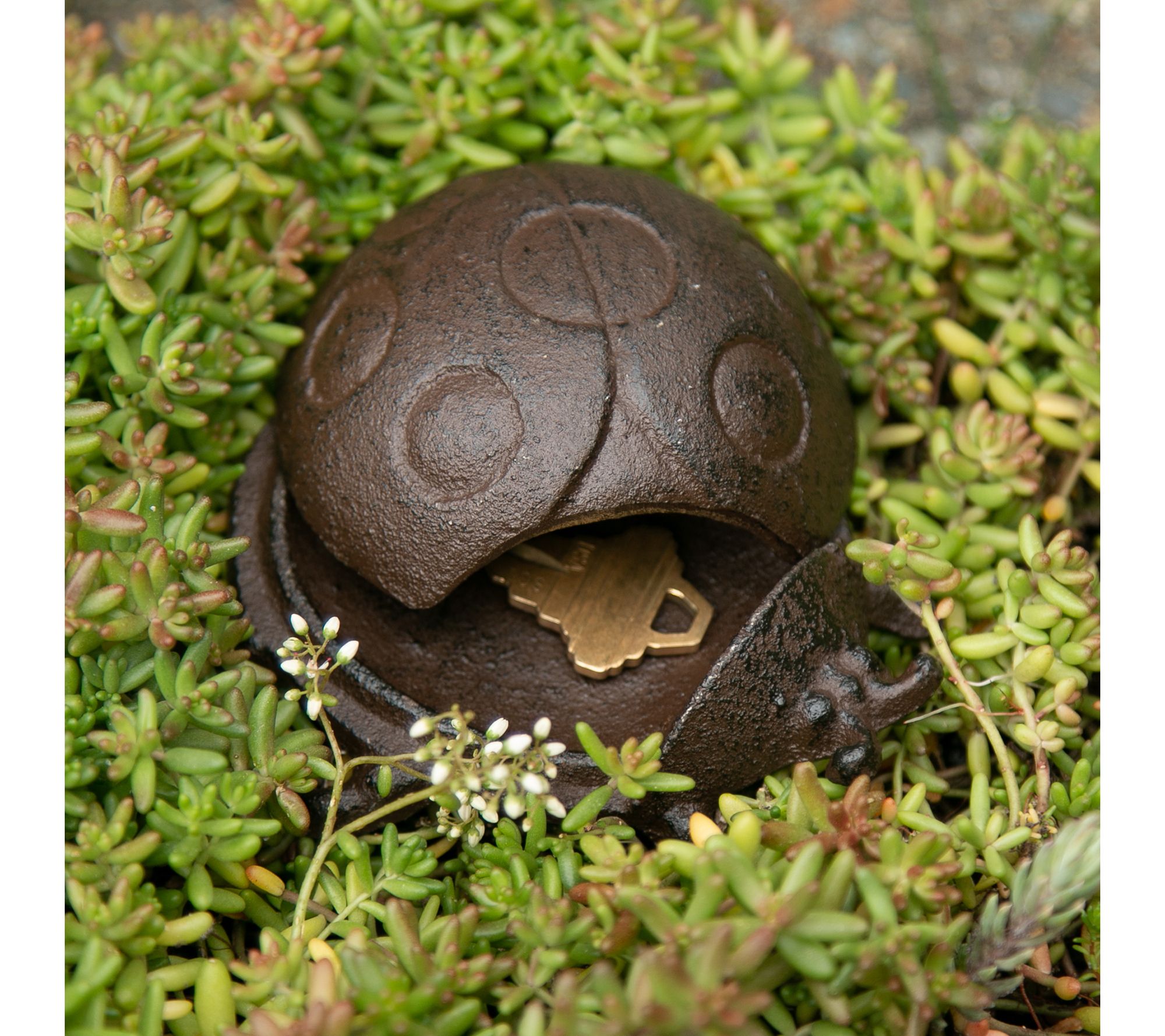 Zingz & Thingz Ladybug Key Hider - QVC.com