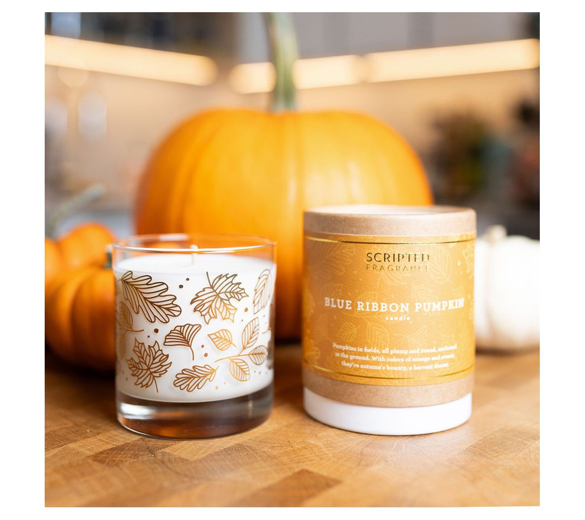 Scripted Fragrance S/2 8oz 100% Soy Fall Candles - QVC.com