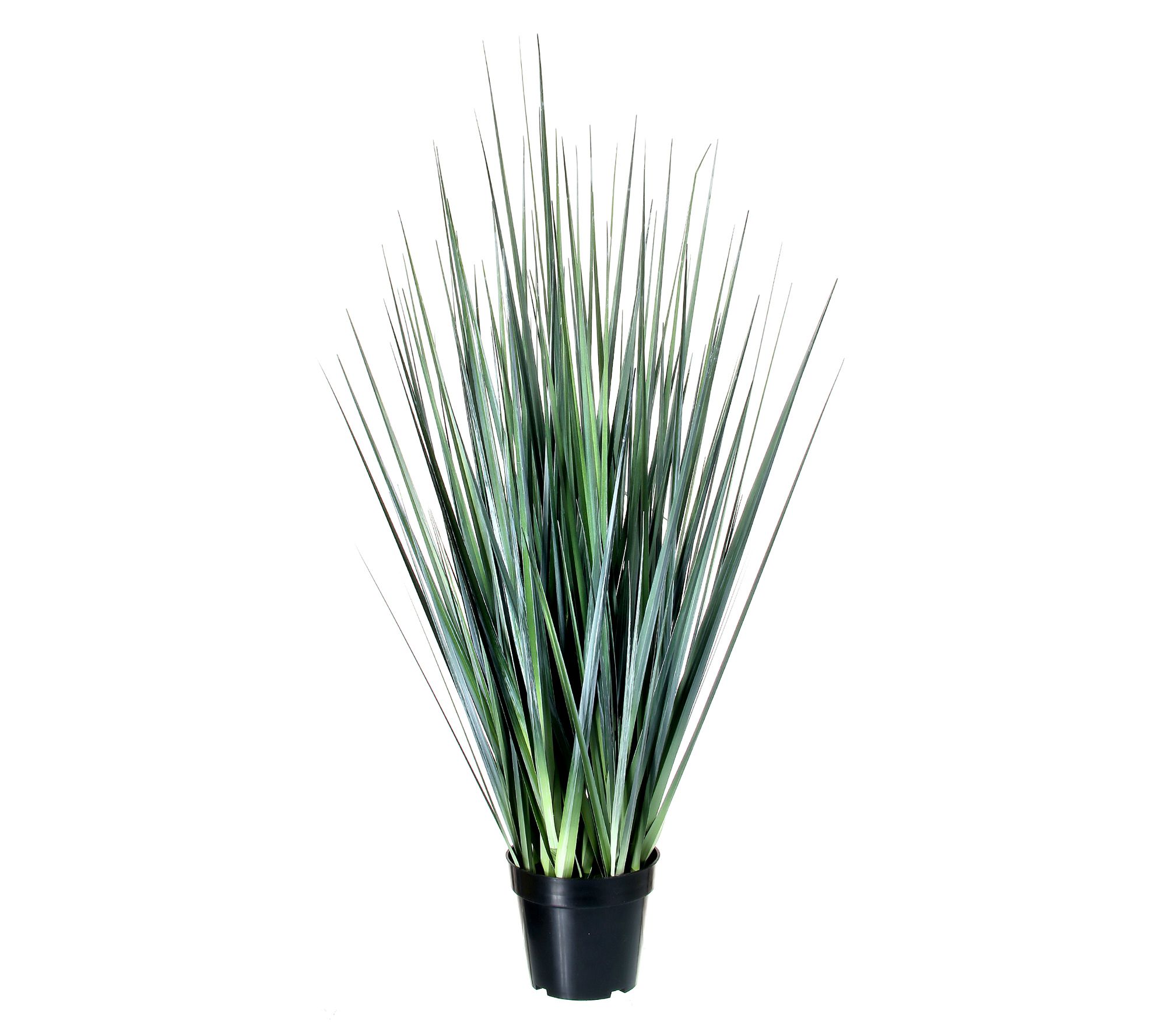 36" Potted PVC Agave Grass by Valerie - QVC.com