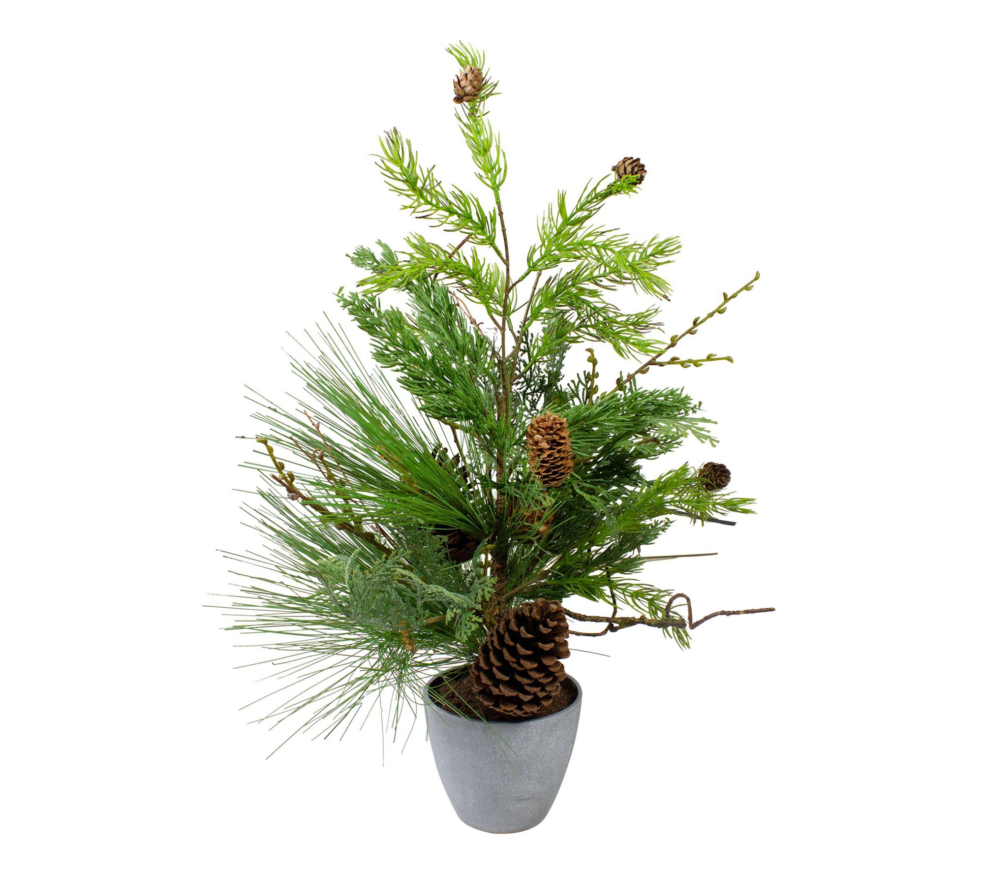 Northlight 2' Potted Mixed Pine Cedar and Twig Tree - Unlit - QVC.com