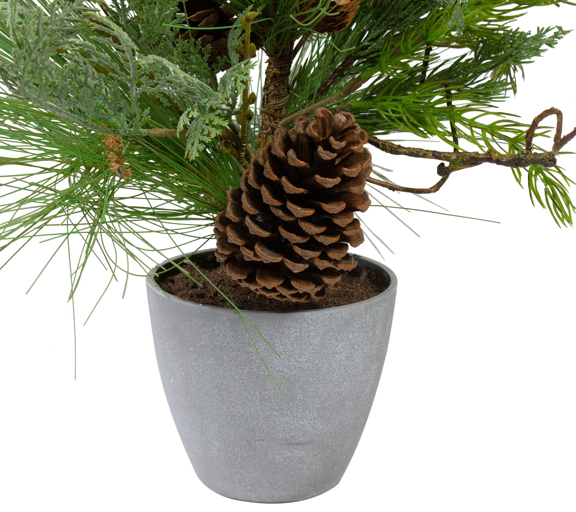 Northlight 2' Potted Mixed Pine Cedar and Twig Tree - Unlit - QVC.com