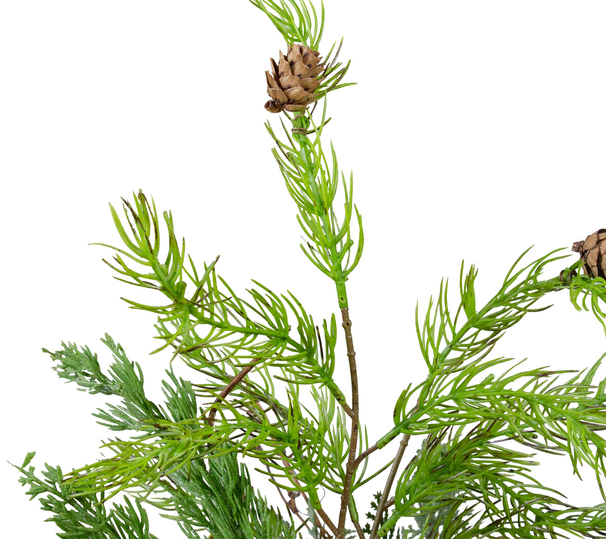 Northlight 2' Potted Mixed Pine Cedar and Twig Tree - Unlit - QVC.com
