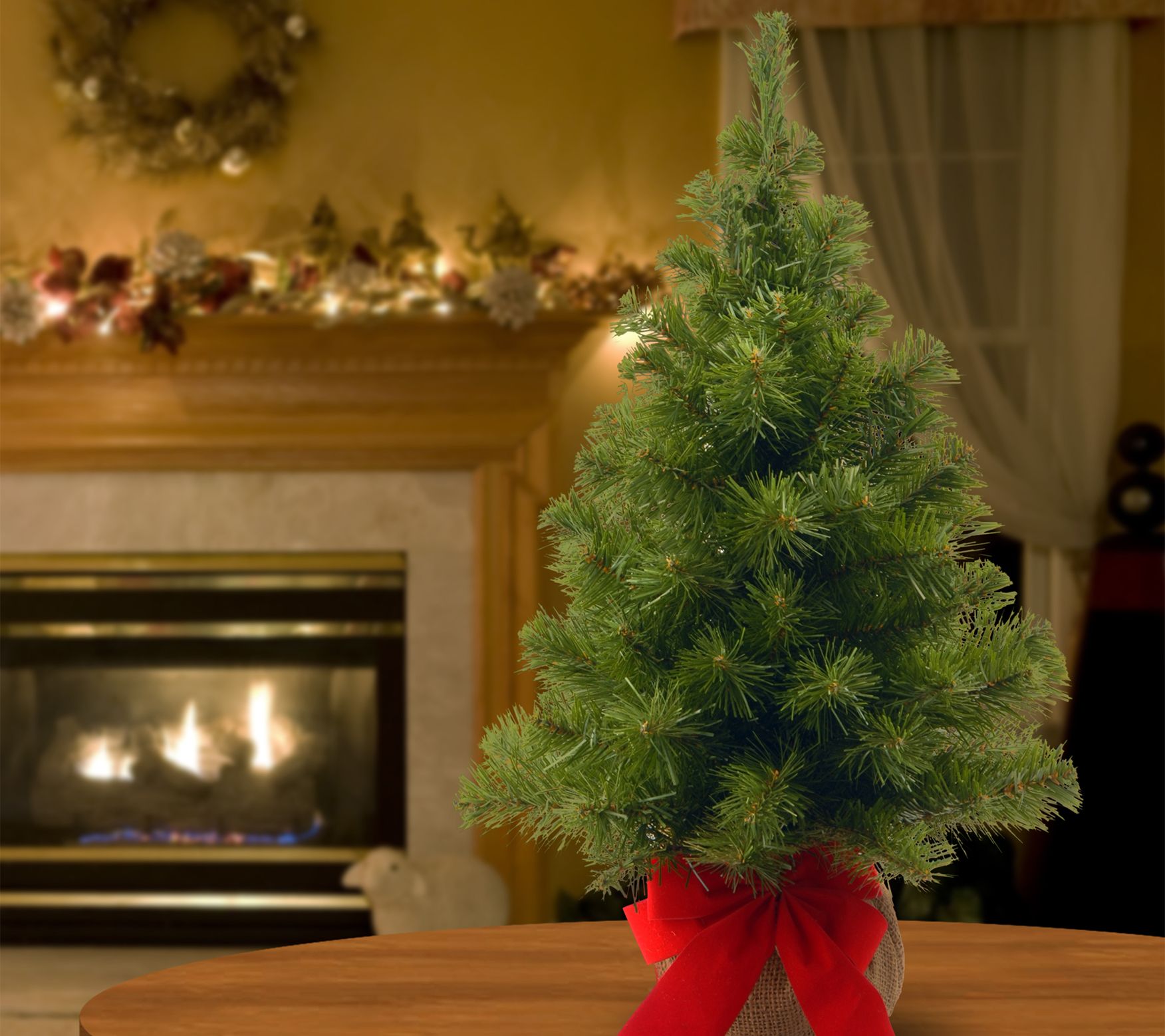 National Tree Company 2' Noble Spruce Tree - QVC.com