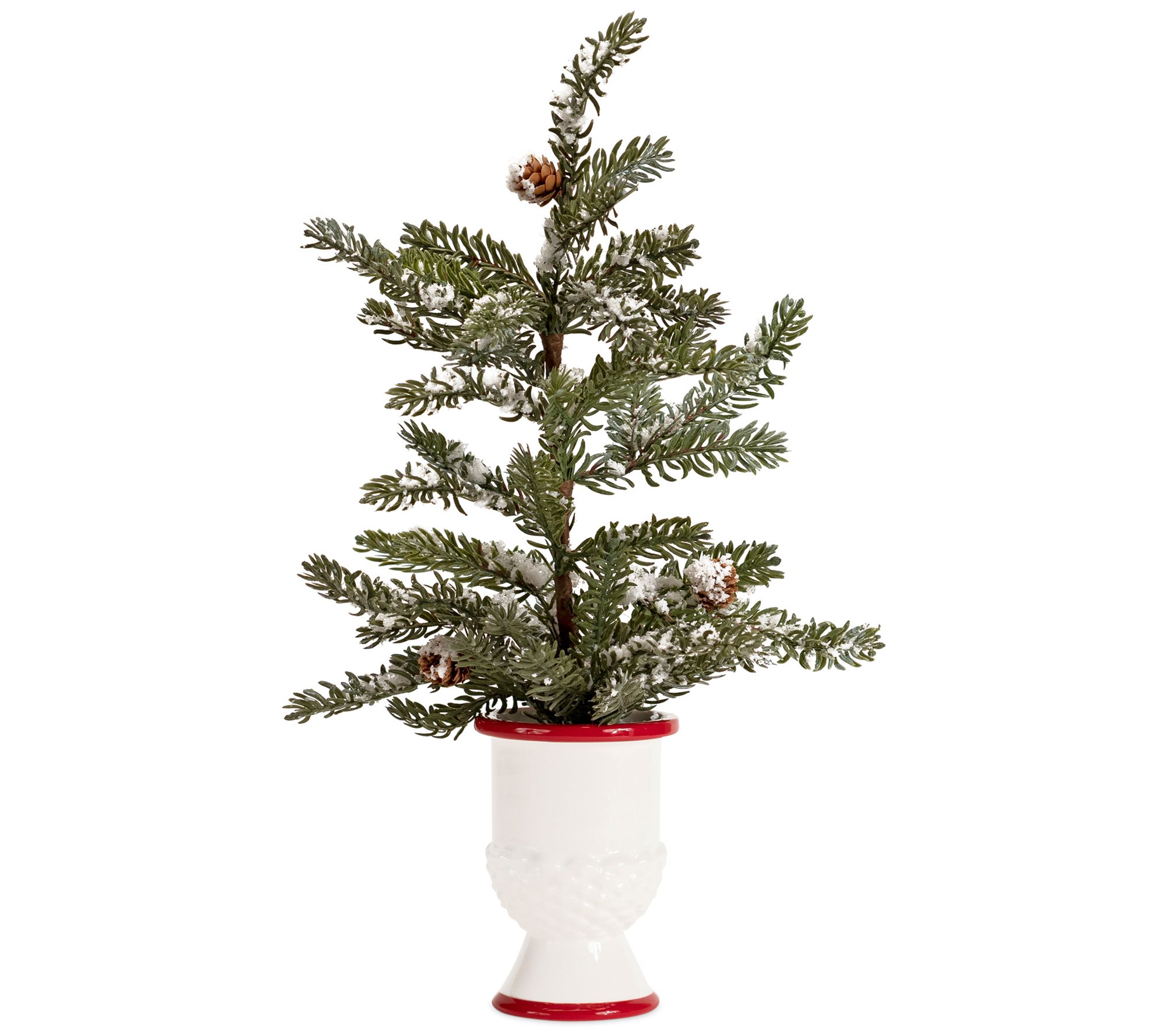Melrose Mini Pine Tree with Ceramic Pot (Set of2) - QVC.com