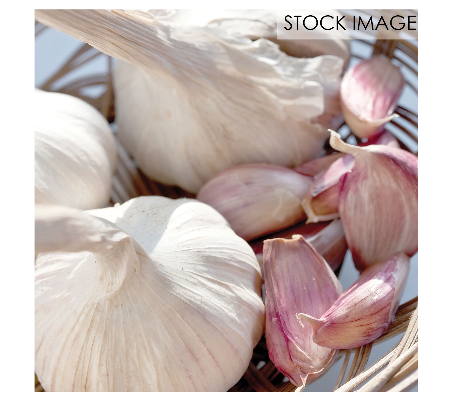 Van Zyverden Garlic Softneck Silverskin Italian Late 3 Cloves - QVC.com