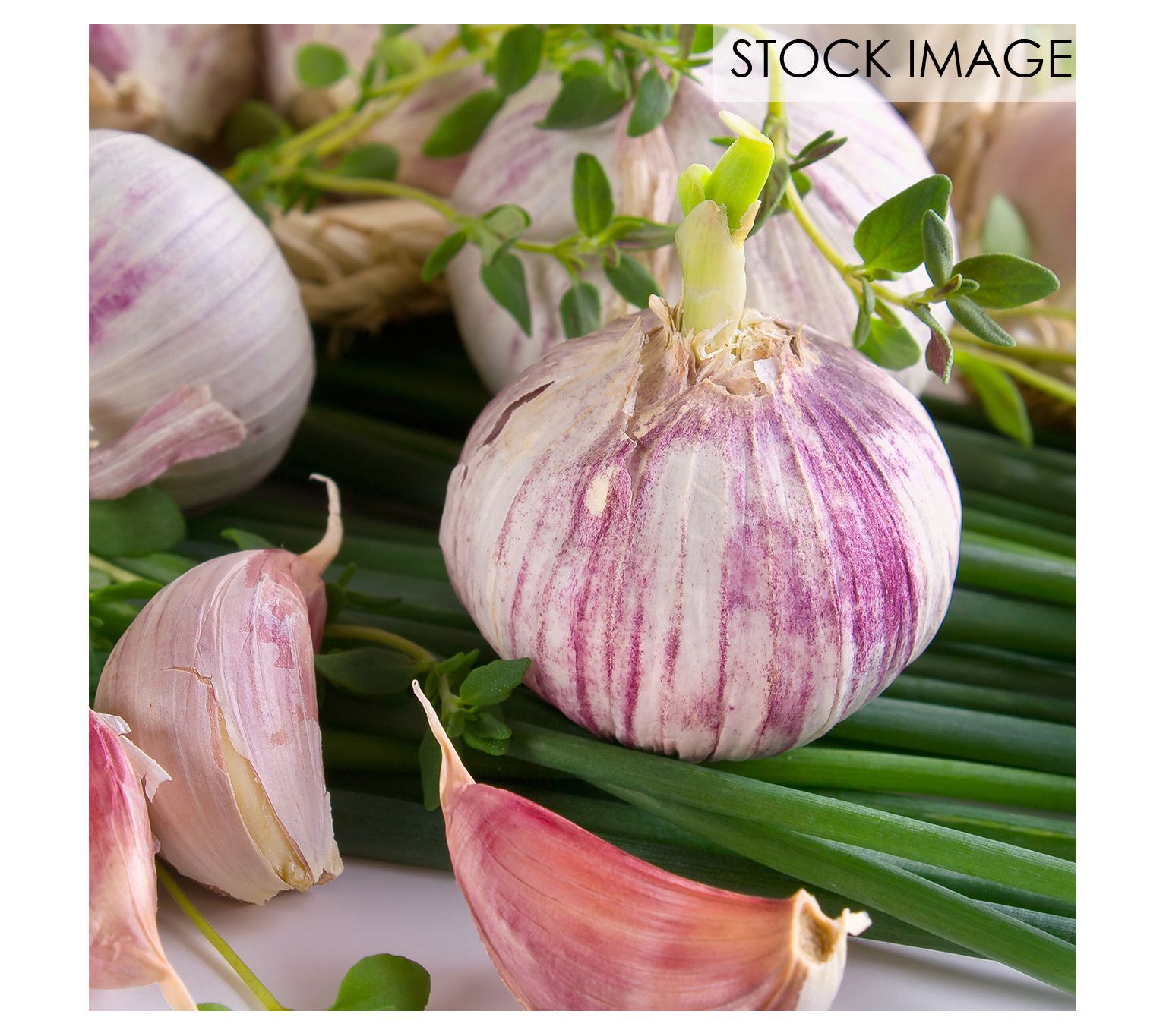 Van Zyverden Garlic Softneck Silverskin Italian Late 3 Cloves - QVC.com