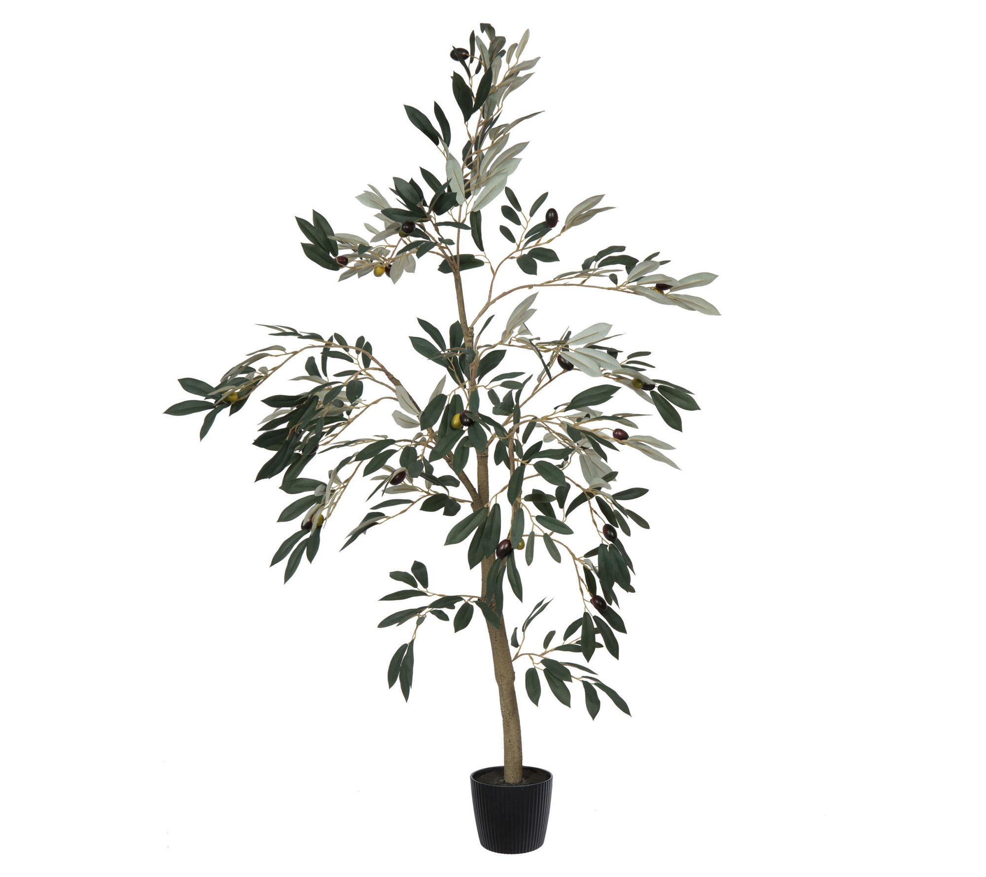 Vickerman 4' Artificial Potted Olive Tree - QVC.com Vickerman 4' Artificial Potted Olive Tree - QVC.com