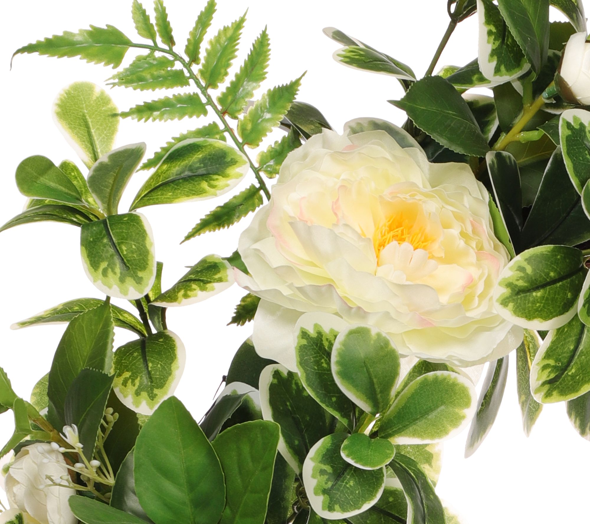 Puleo 24" Camellia,Peony Floral Spring Wreath With Green - QVC.com