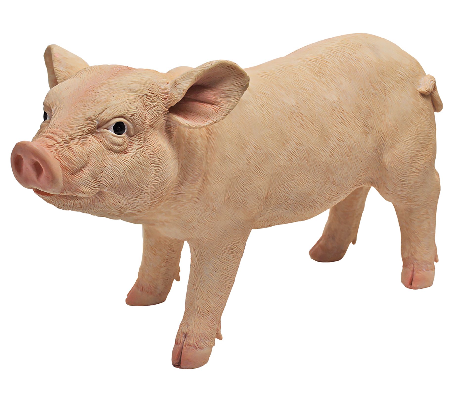 Design Toscano Porker The Piggy Standing Pig Sttue - QVC.com