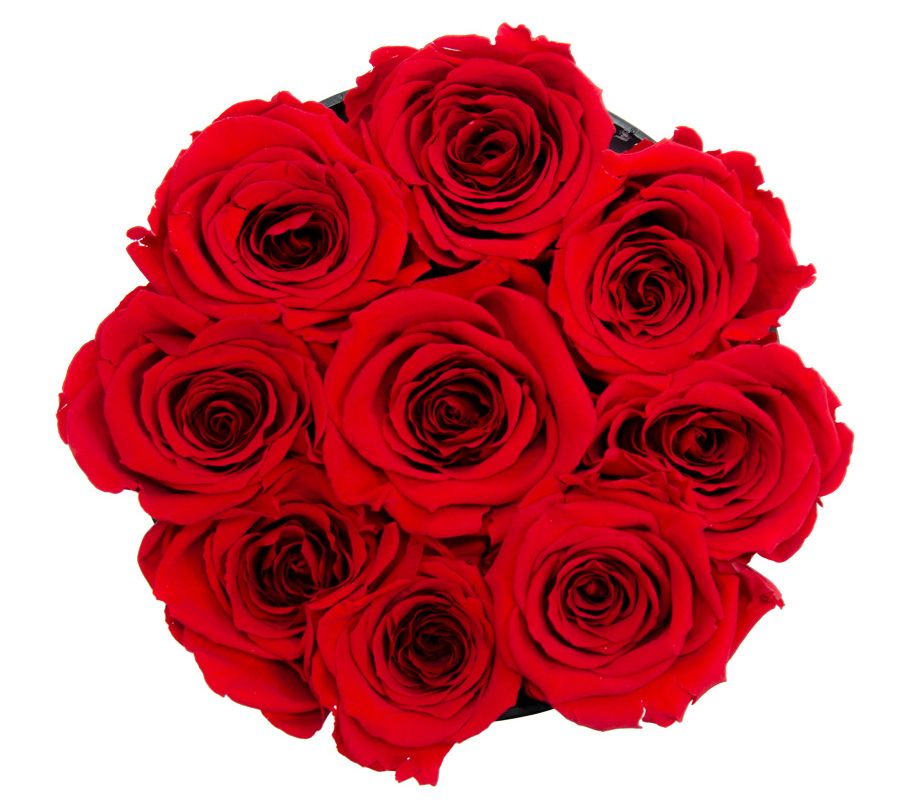 Rose Box Preserved Roses - Small White Box - QVC.com