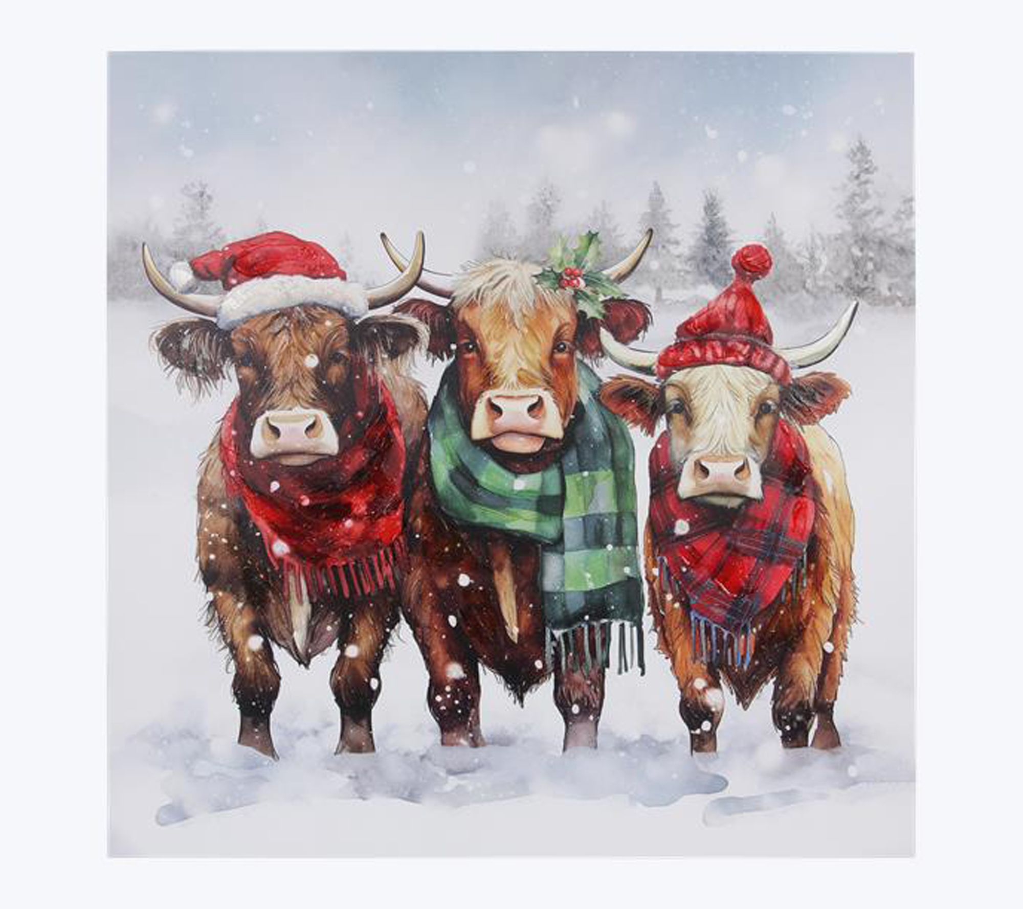 Young's Wood Box Highland Cow Canvas Wall Art - QVC.com