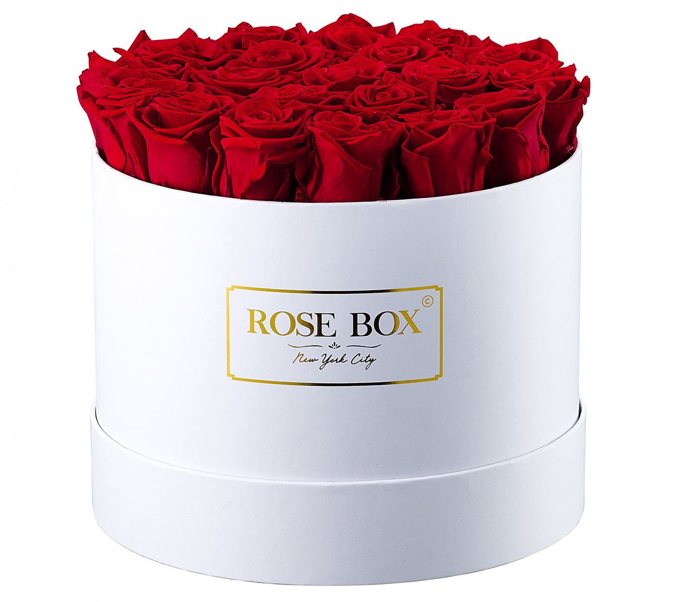 Rose Box Preserved Roses - Medium White Box - QVC.com