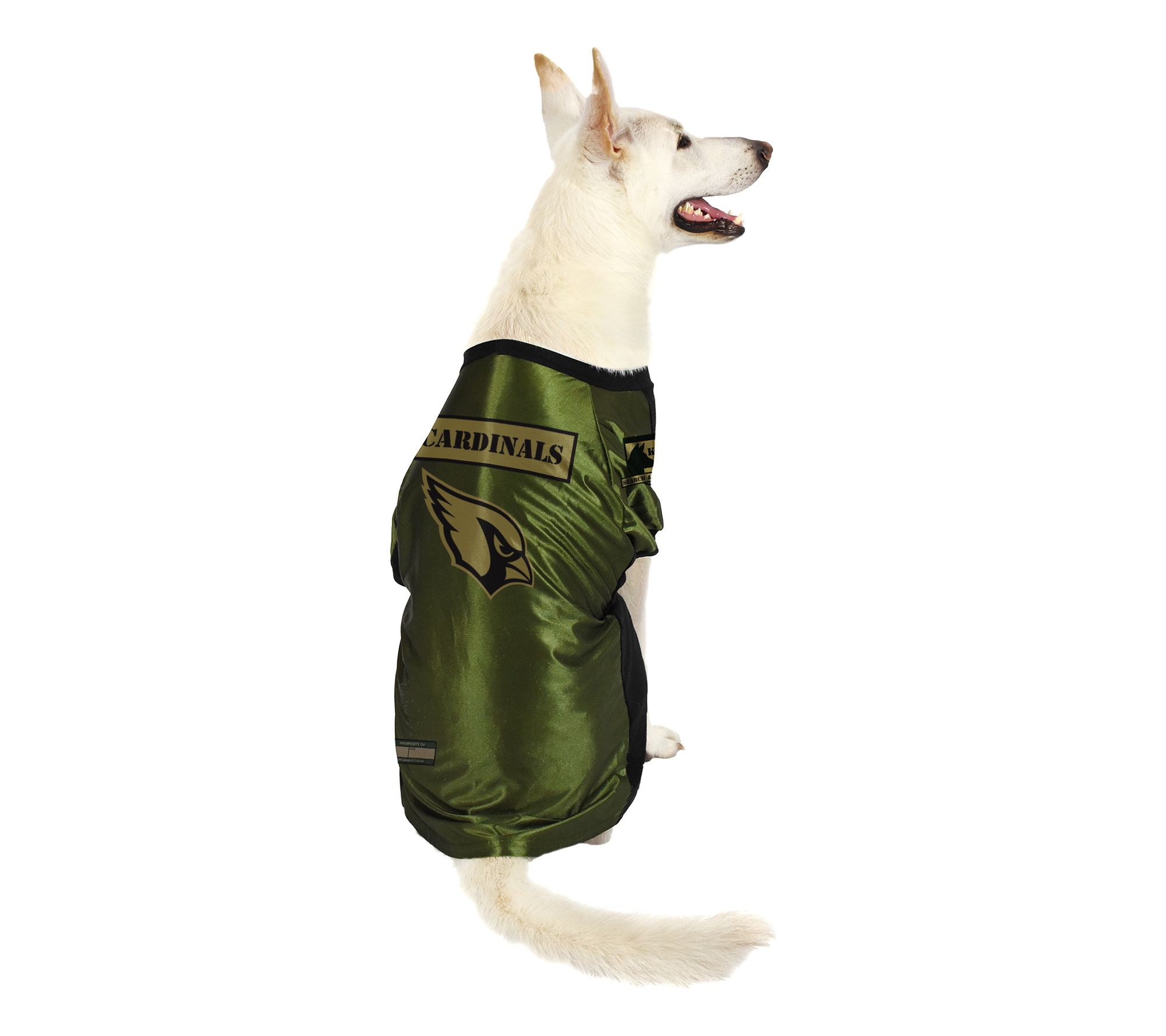 Littlearth NFL Valor Big Pet Stretch Jersey - QVC.com