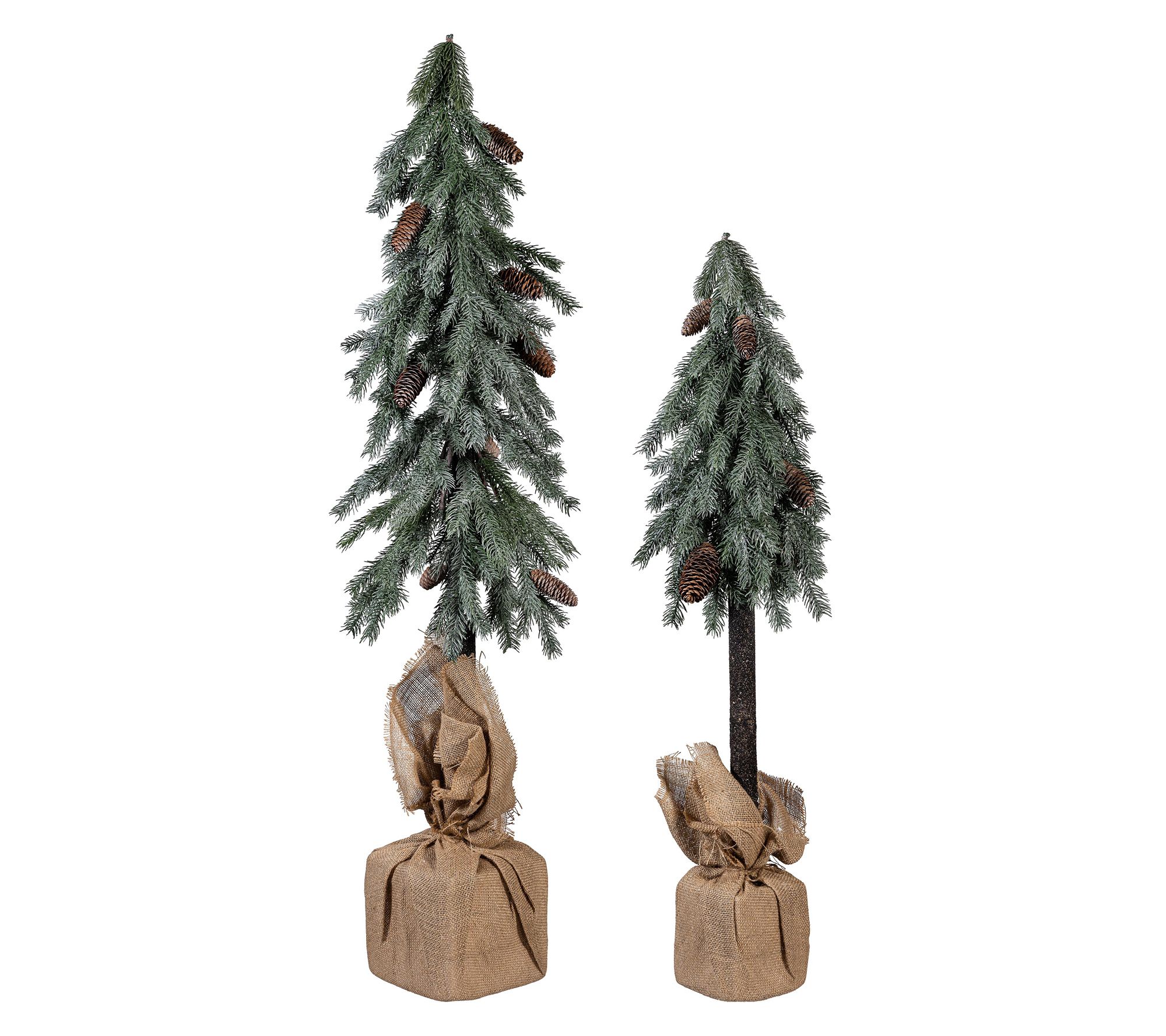 Evergreen Set of 2 Indoor/Outdoor Pine Trees inBurlap Sack - QVC.com