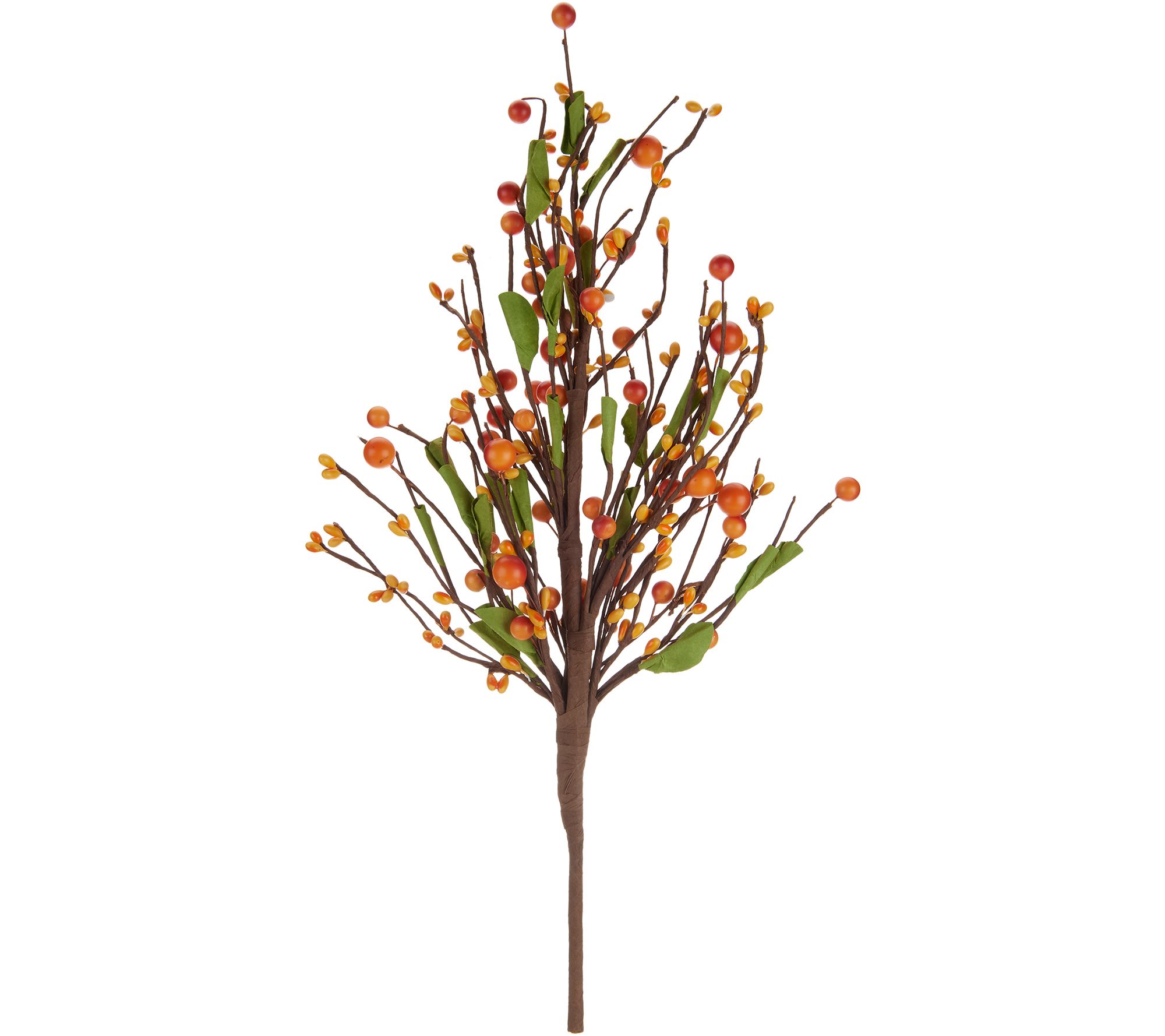 "As Is" Set of 8 Harvest Pip Berry Picks by Valerie - QVC.com