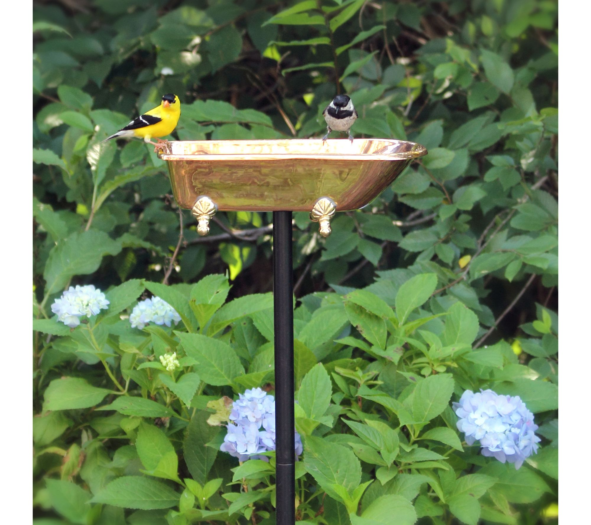 Splish-Splash Bird Bath Copper Finish by Good Directions - QVC.com