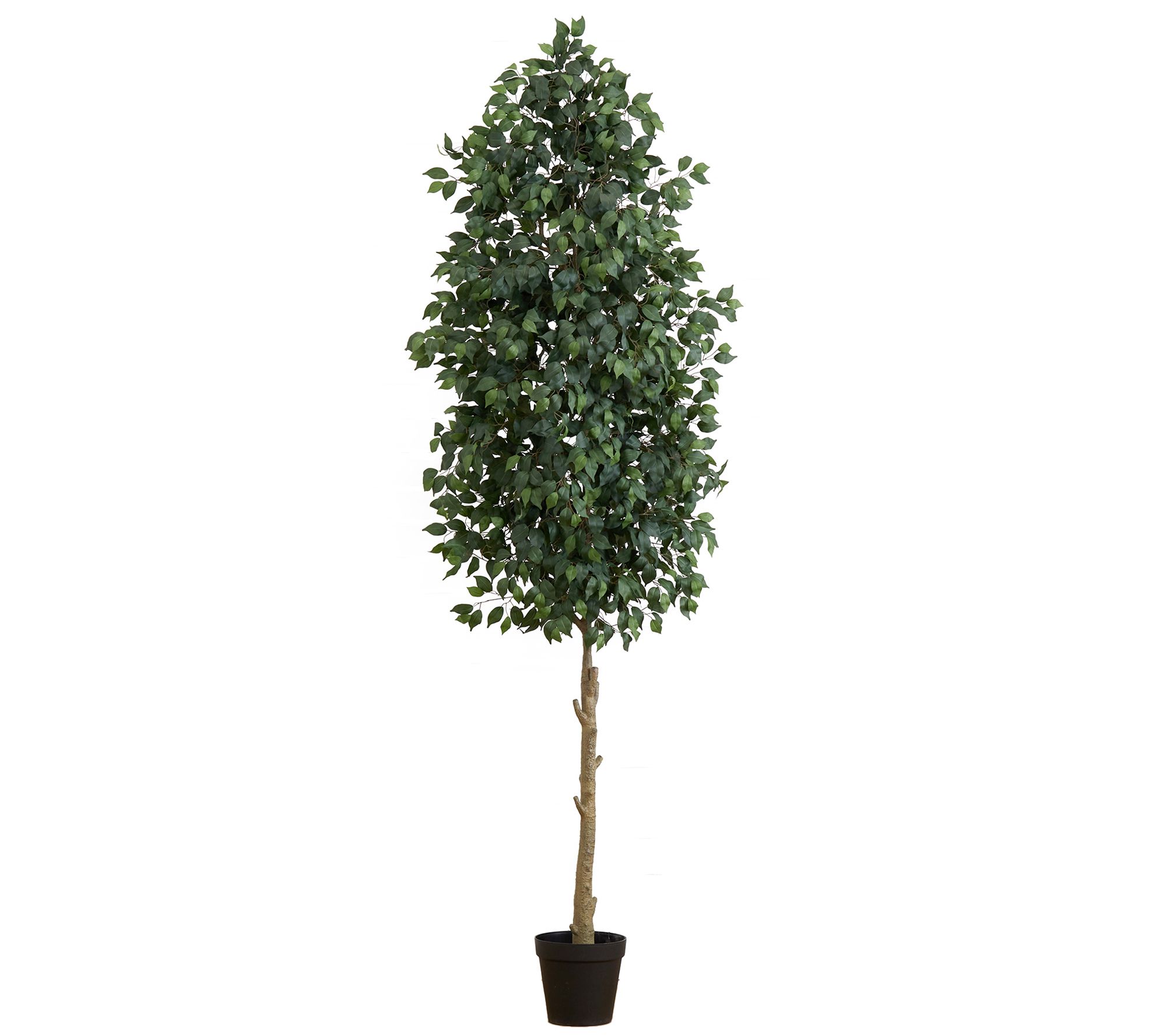 Nearly Natural 10' Artificial Ficus Tree - QVC.com