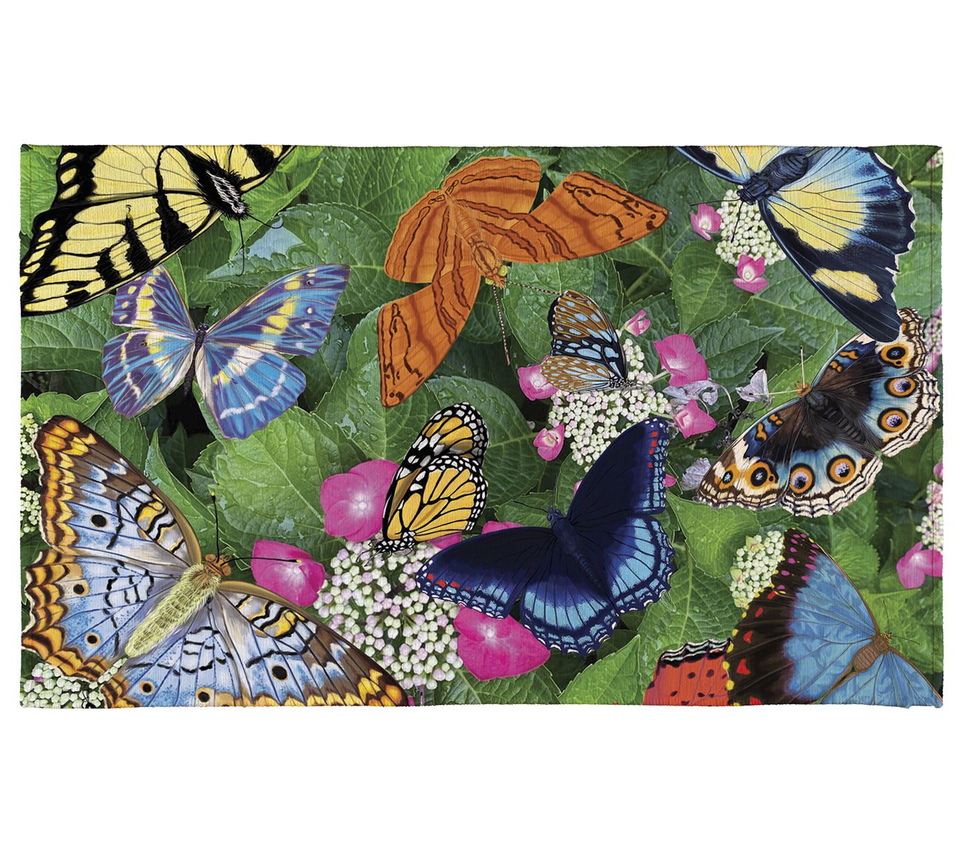 Evergreen Hello Butterflies Washable Indoor/Outdoor Mat - QVC.com