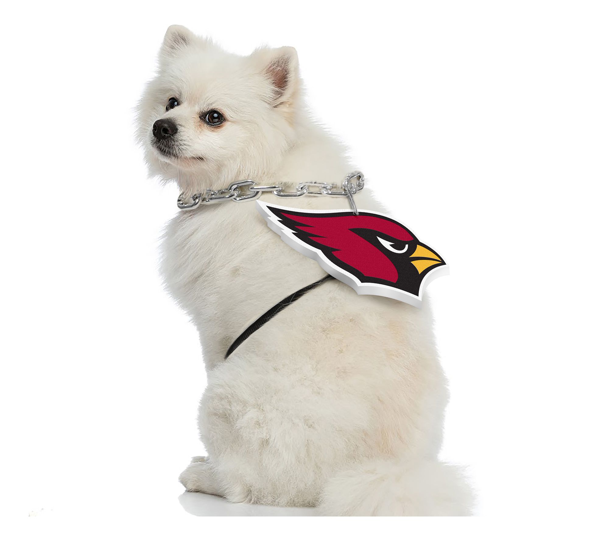 Littlearth NFL Pet Fan Chain - QVC.com