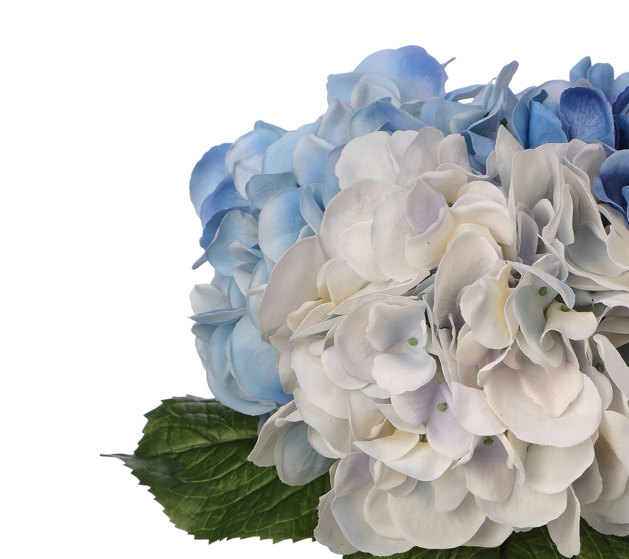Just Cut 17" Hydrangea Bundle of 3 by Valerie - QVC.com