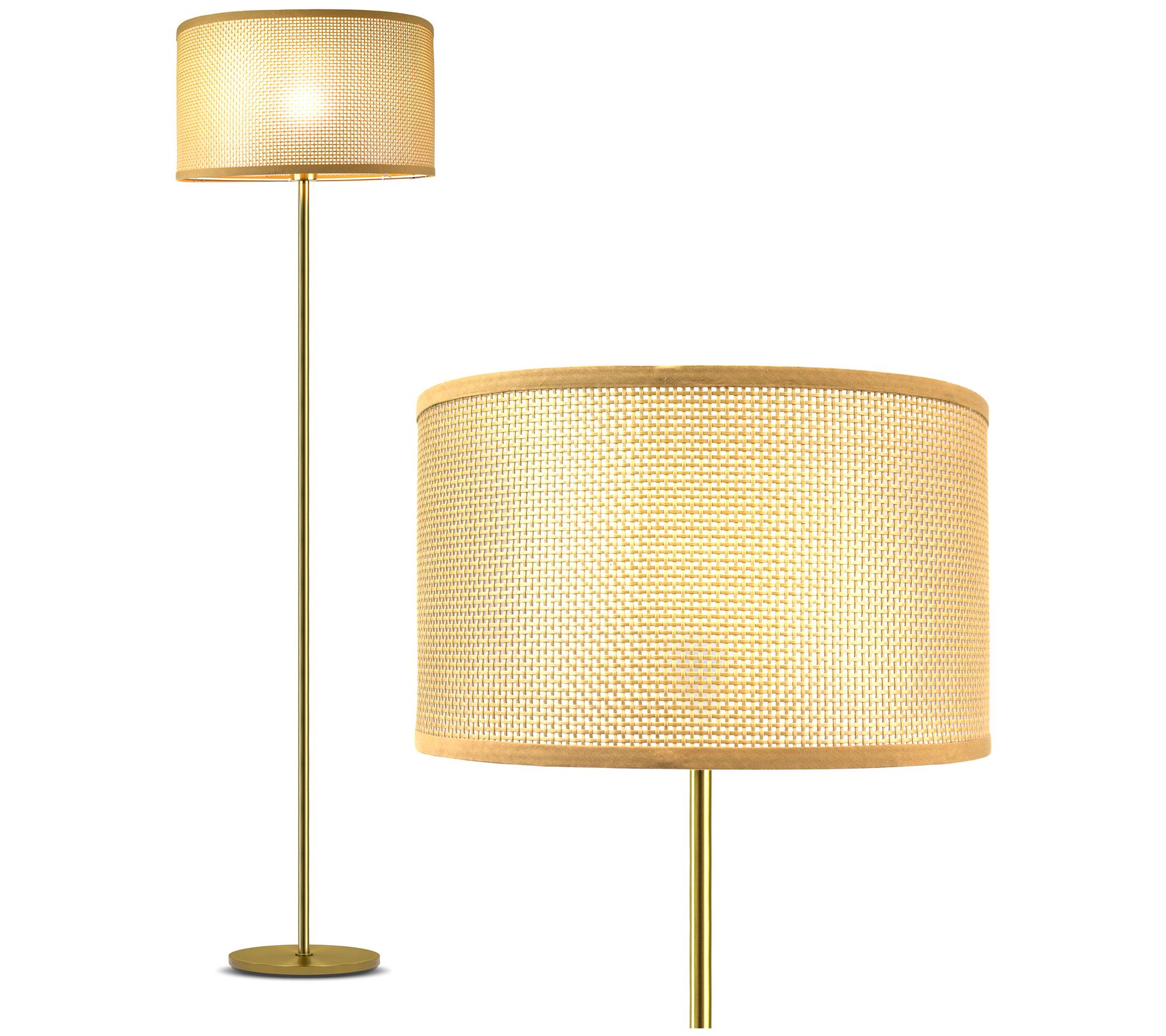 Brightech Zion 65" LED Floor Lamp - QVC.com