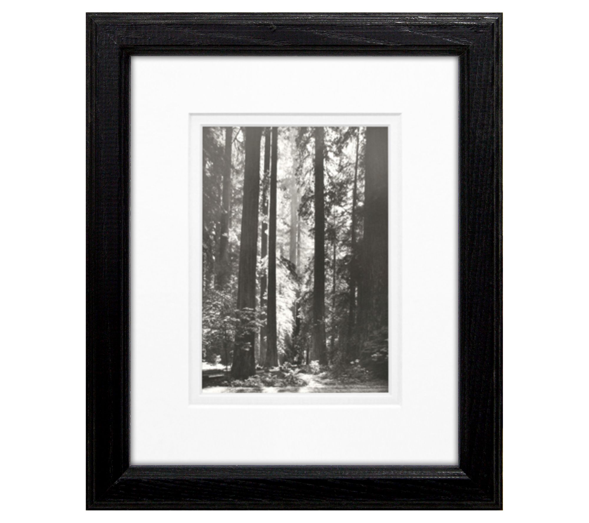 Redwood Founders Grove Framed Art by Timeless Frames and Decor - QVC.com