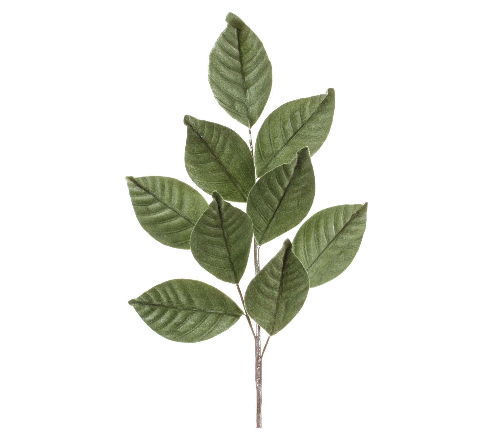 Melrose Green Flocked Magnolia Leaf Spray (Setf 6) - QVC.com