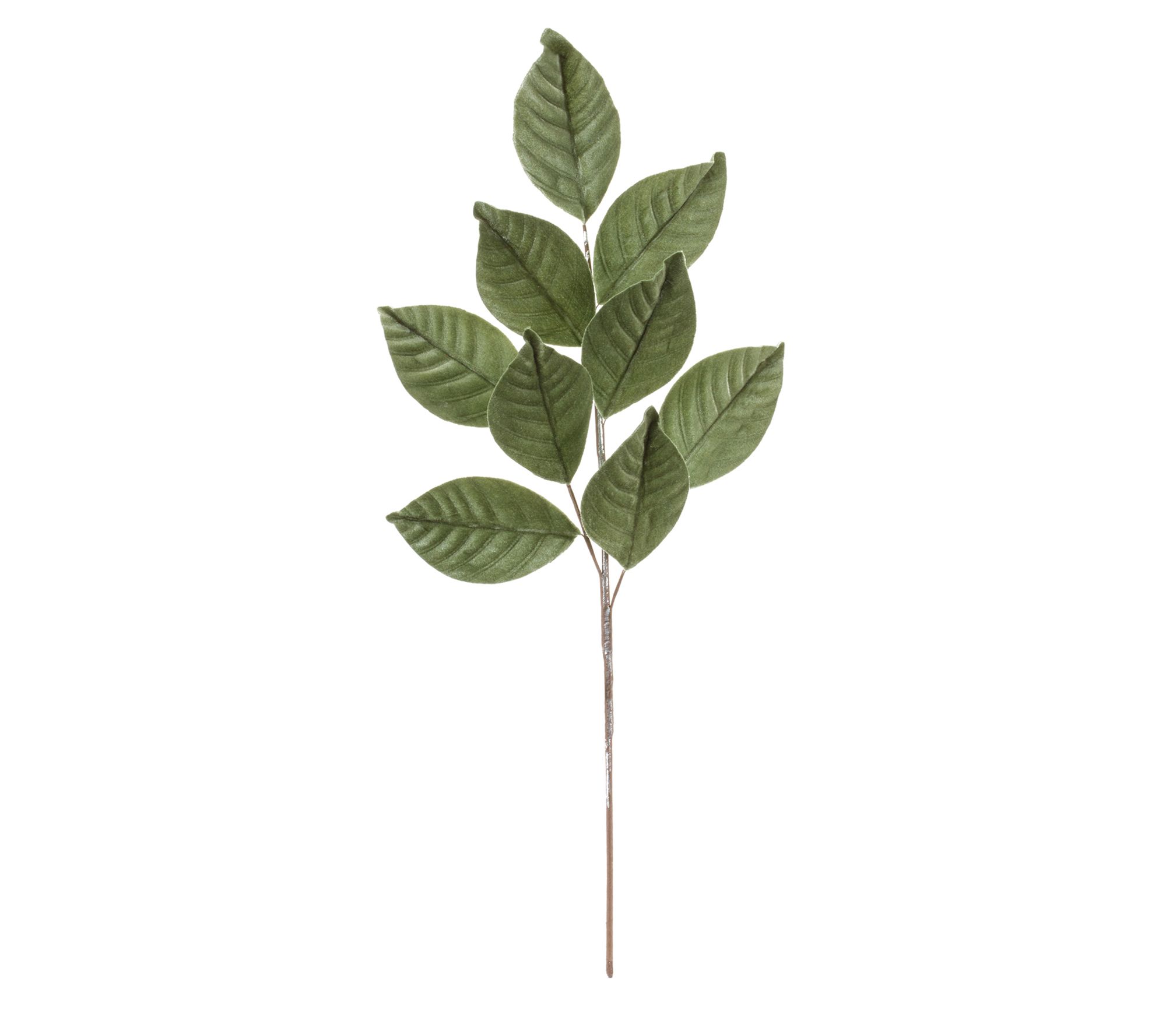 Melrose Green Flocked Magnolia Leaf Spray (Setf 6) - QVC.com