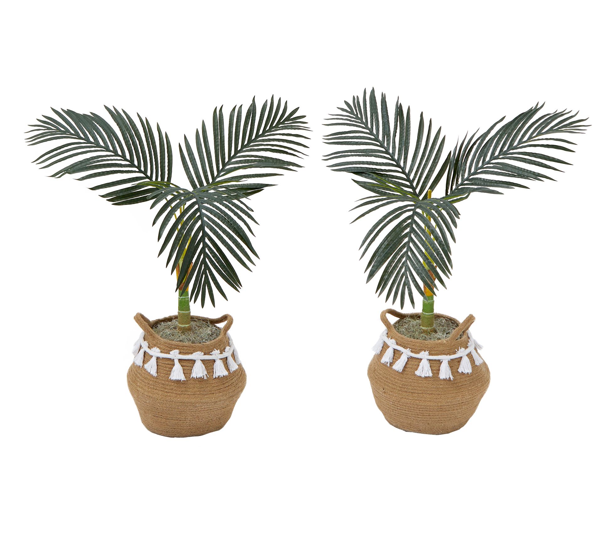 Nearly Natural S/(2) 3' Golden Cane Palm Tree DIY KIT - QVC.com