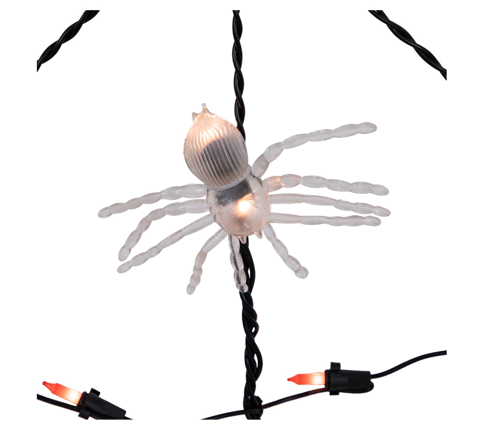Northlight 5' Lit Orange & Black Spider in Web Decoration - QVC.com