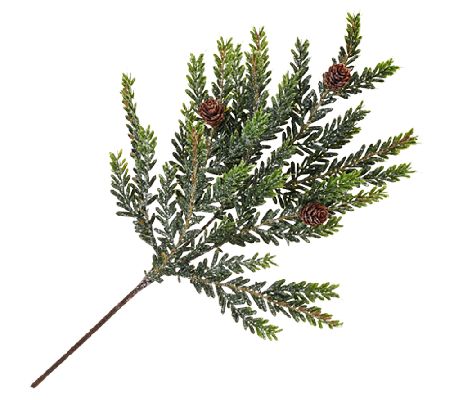 Set of 8 Snowy Hemlock Picks by Valerie - QVC.com