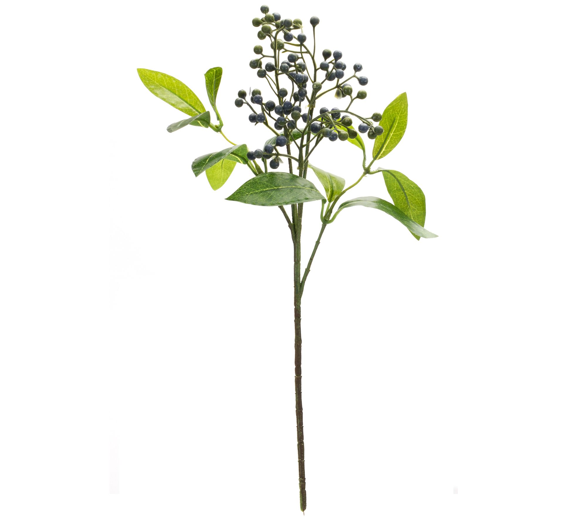 Melrose Blue Berry Spray (Set of 6) - QVC.com